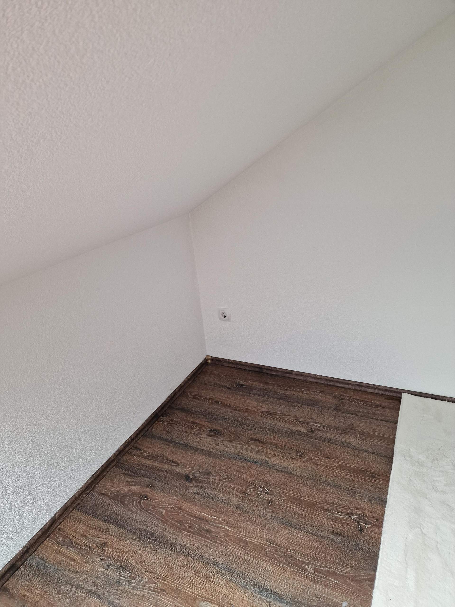 Kann eine Monstera Deliciosa an einer Wand "entlangklettern" und dort ...