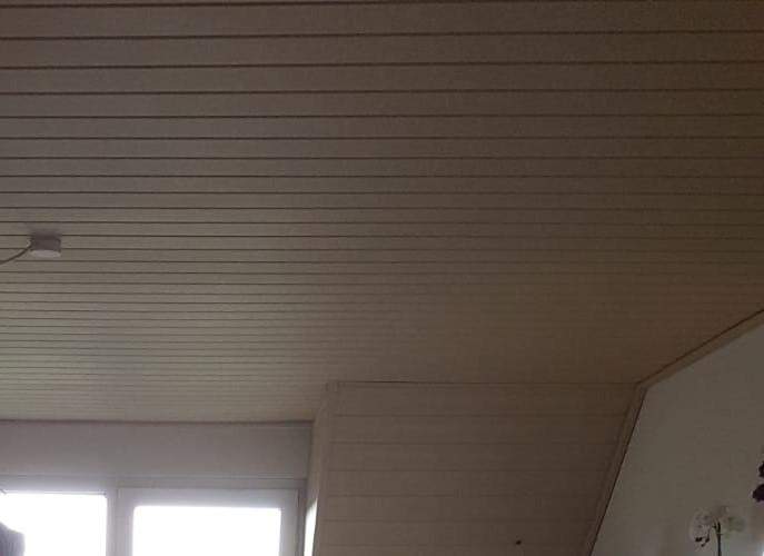 Kann ich diese Holzdecke streichen? Welche Art von Paneele sind das?