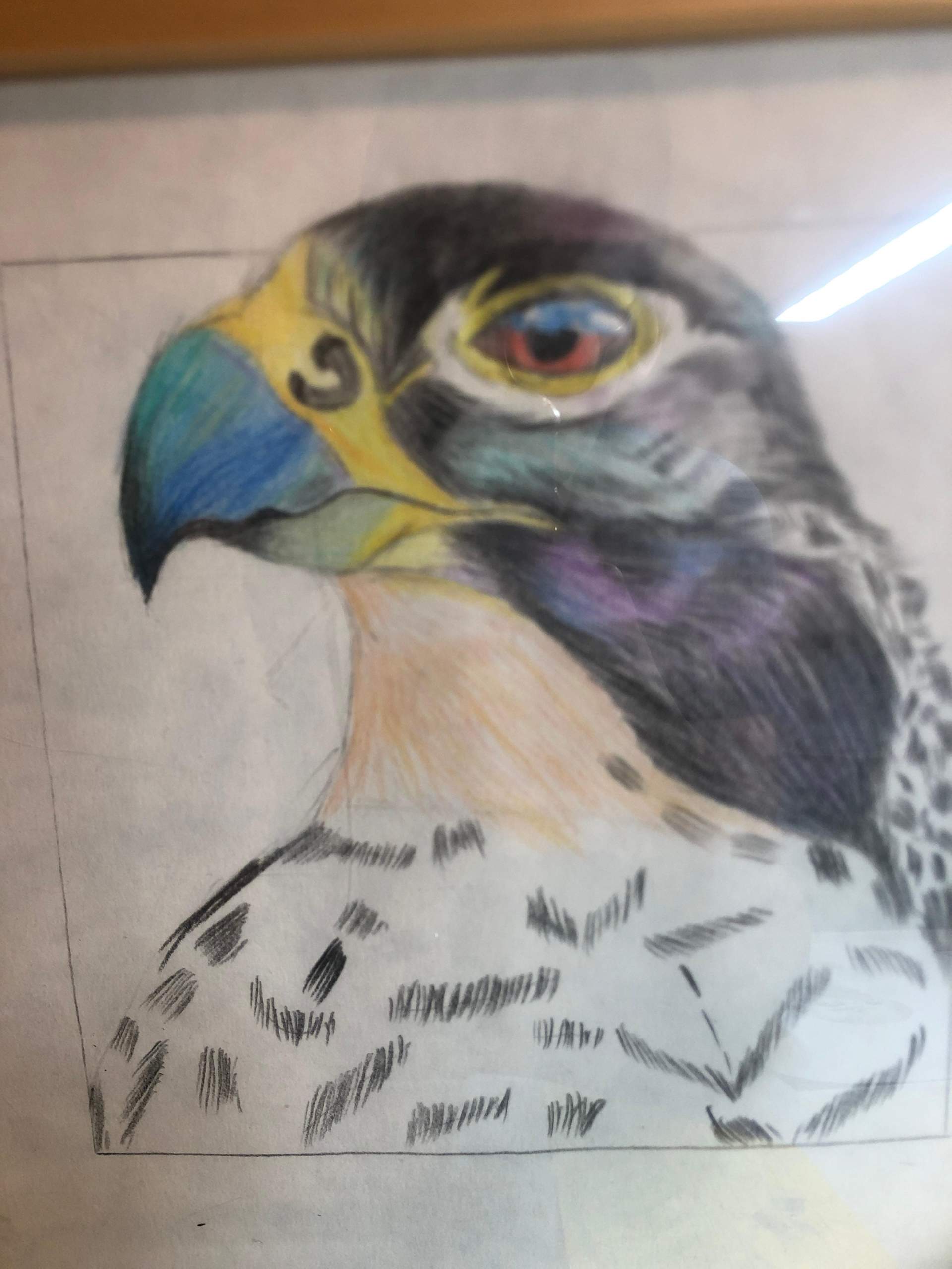 Kann ich gut malen? (Bilder, Kunst, zeichnen)
