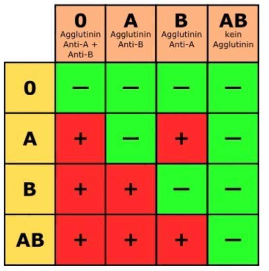 Kann jemand dieses Bild über AB0-System erklären? (Medizin, Biologie ...