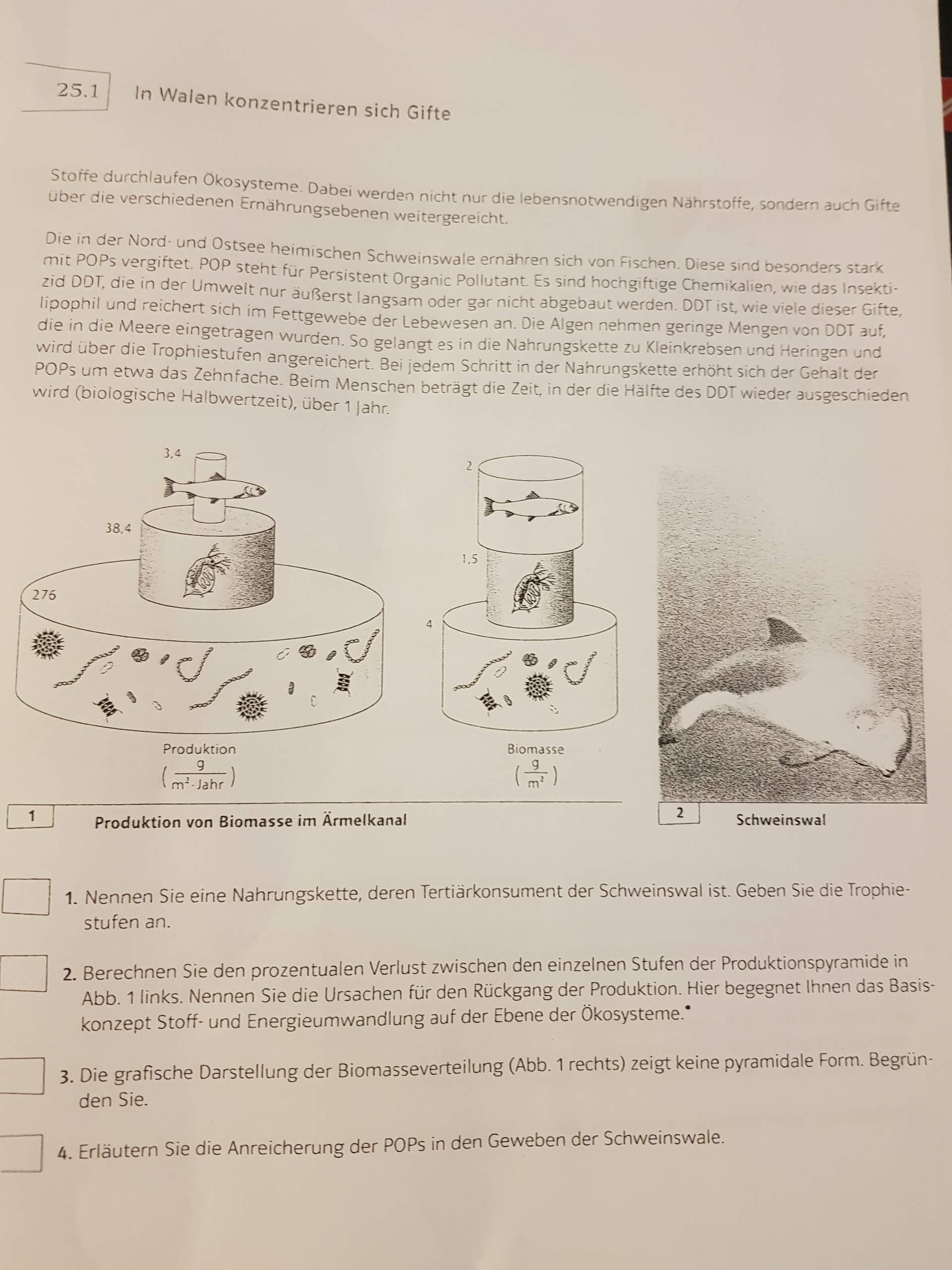 Kann jemand mir erklären was die Unterschied zwischen den beiden ...