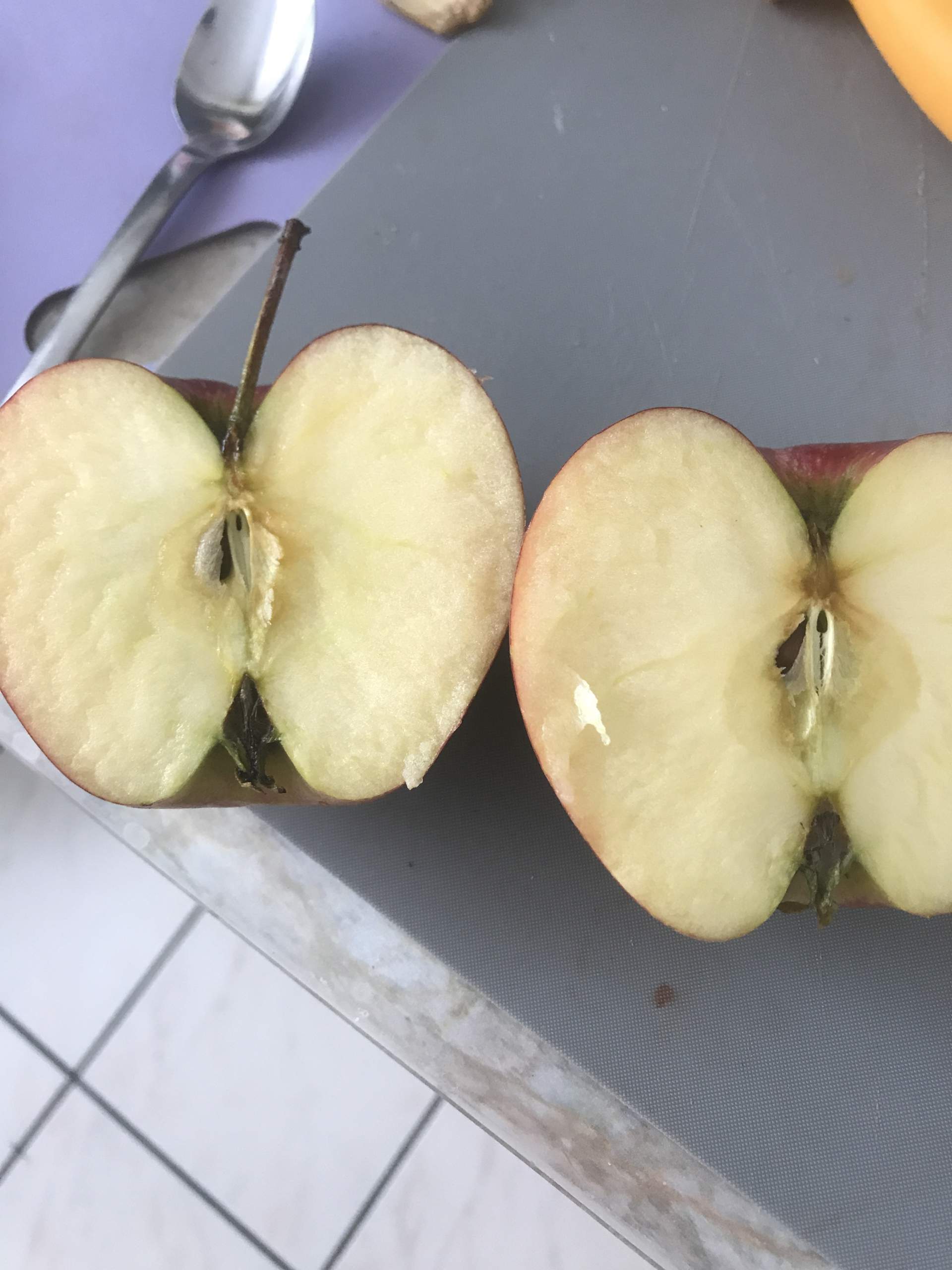 Kann man diesen Apfel noch essen(Foto)? (Computer, Gesundheit und ...