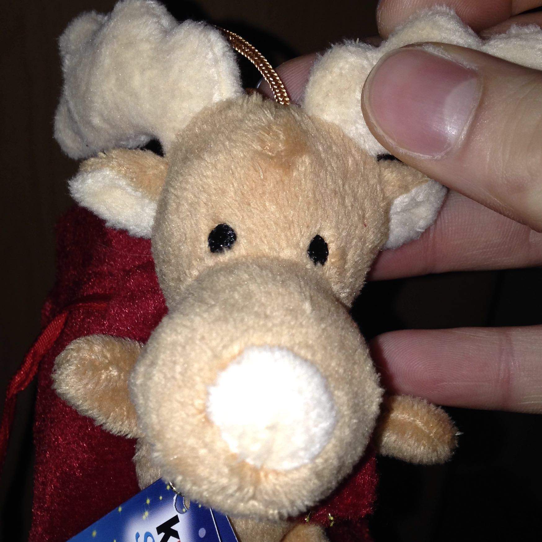 Kann man einen Hirsch als Haustier halten? (Haltung)