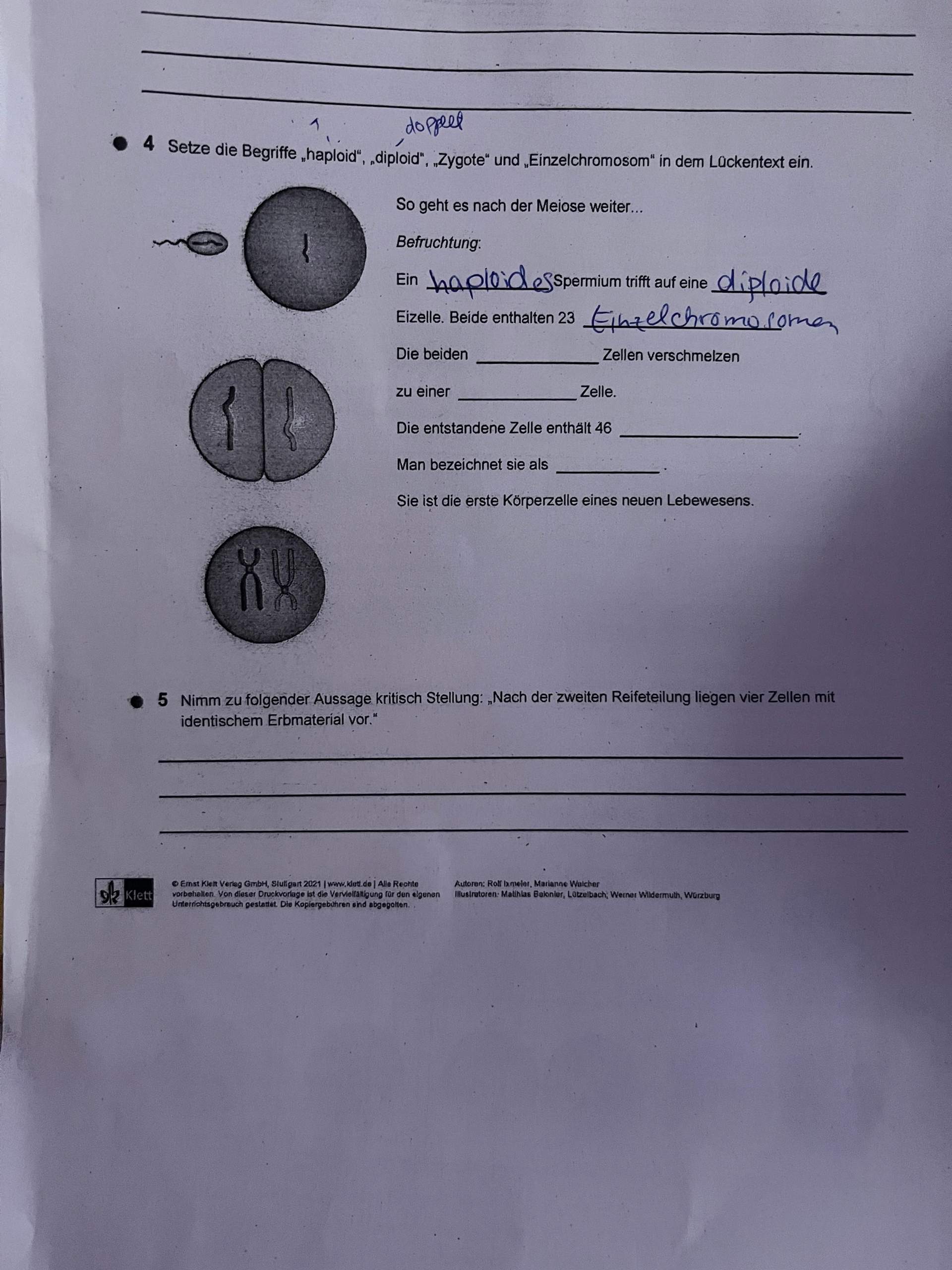 kann mir ein Bio Profi helfen? (Genetik, Zellen, Biologieunterricht)