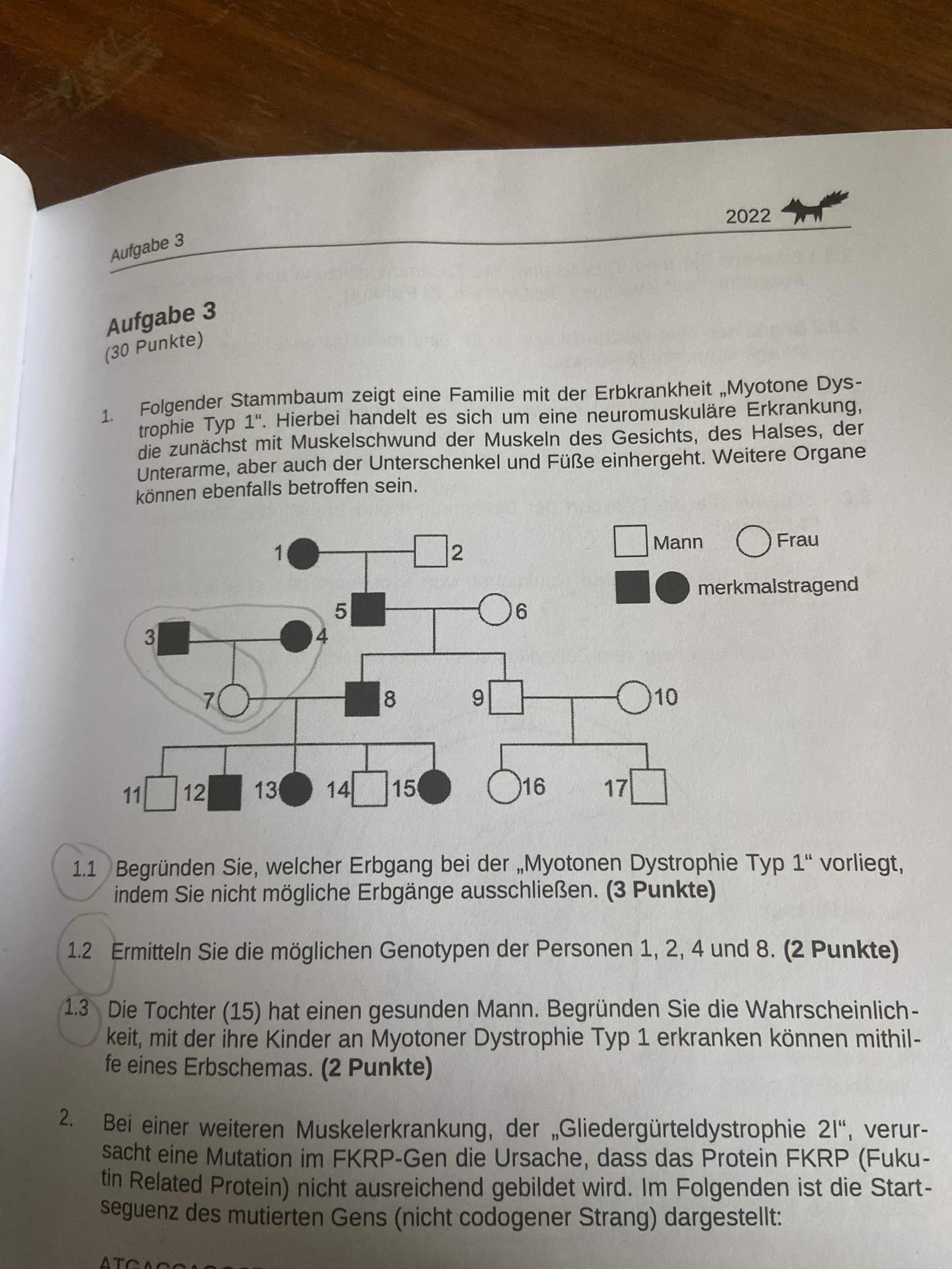 Kann mir jemand bitte erklären wann wir die *mehrere* Möglichkeiten angeben bei dem Genötyp und ...