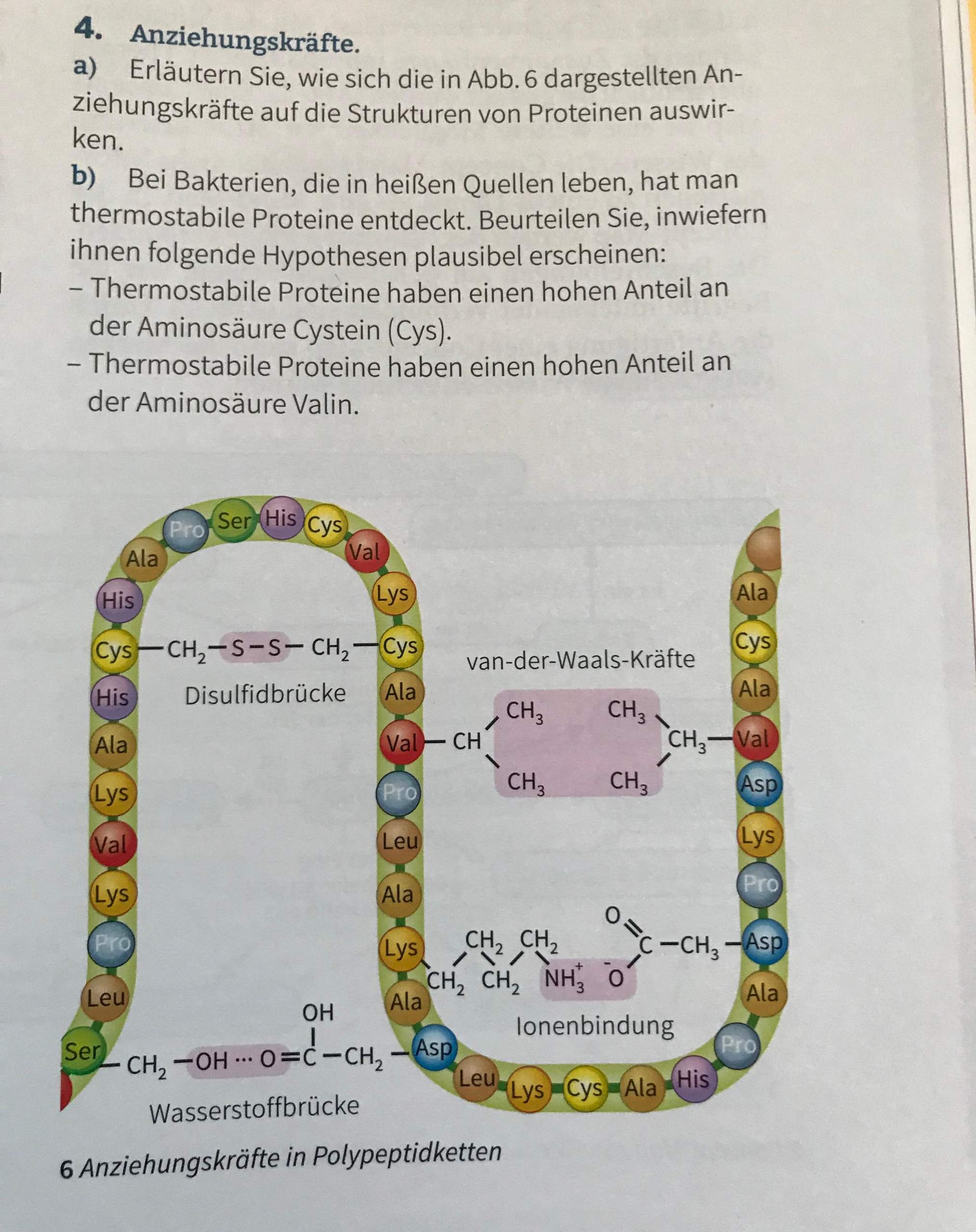 Kann mir jmd helfen (BIO)? (Biologie, Oberstufe)