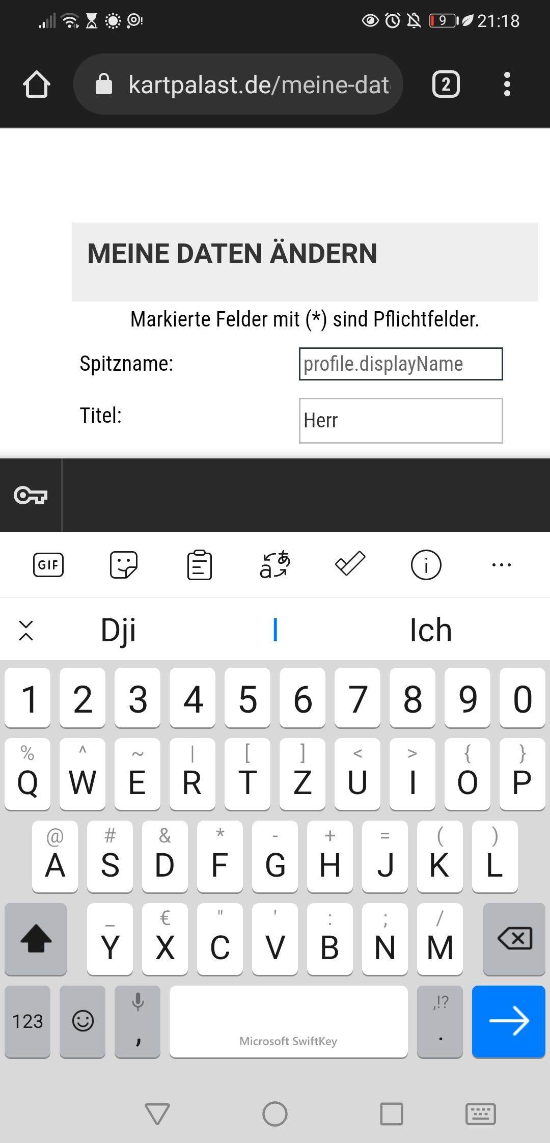 Kartfahren display name? (Technik, Eingabe, Kart-Fahren)