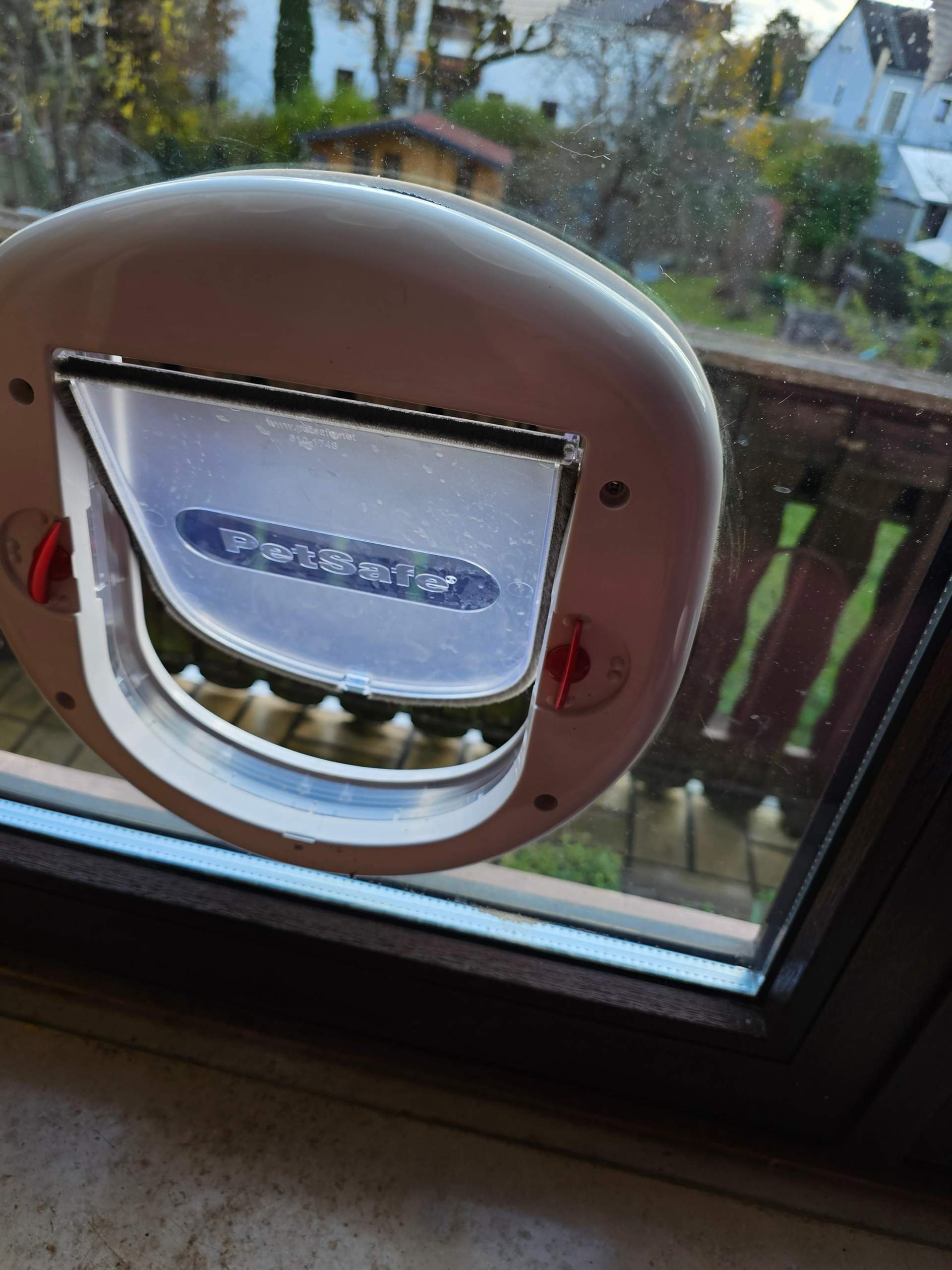 Katzenklappe schwingt nicht frei? (Tiere, Katze, Natur)