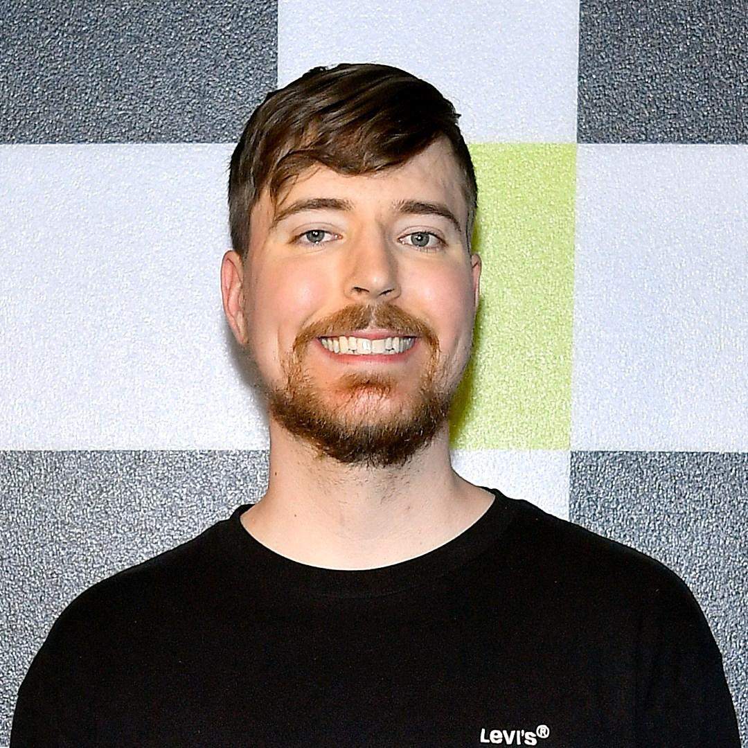 Kennt ihr MrBeast (und wenn ja, wie findet ihr ihn)? (Computer, Handy ...