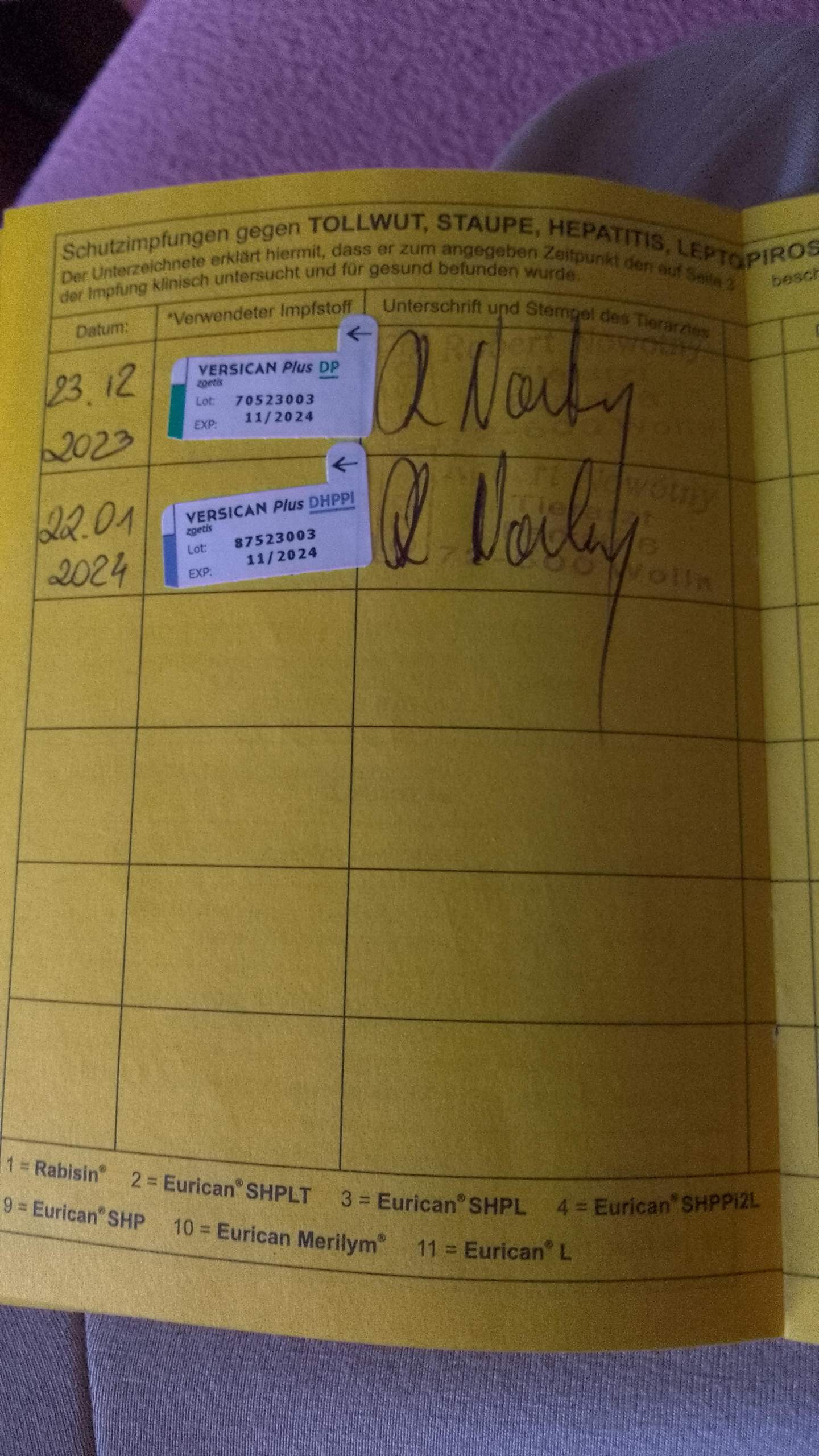 Kennt jemand den Tierarzt Robert nowotny aus Polen? (Tierhaltung ...