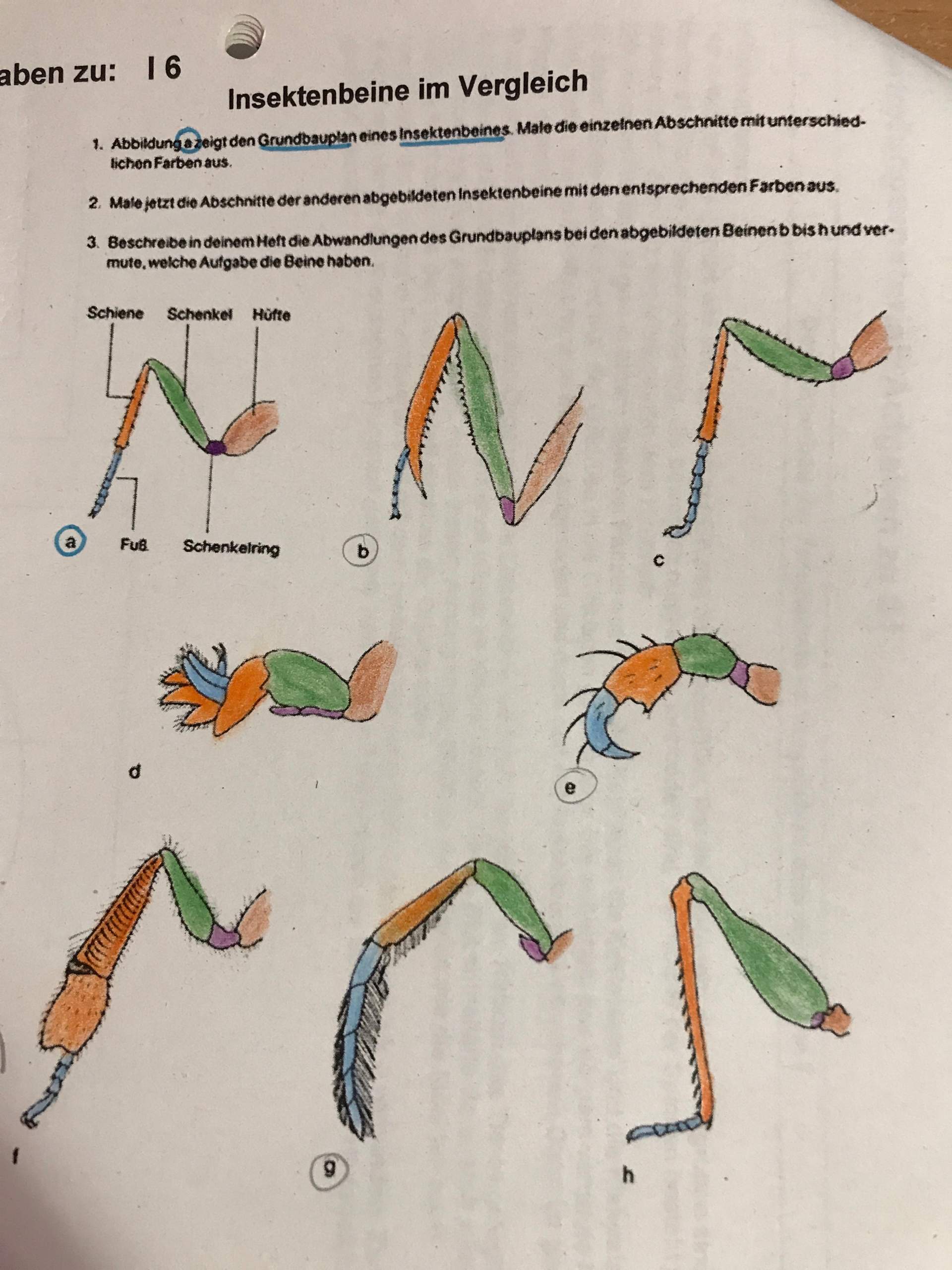 Könnt ihr Infos geben, wo man sich über die Aufgaben der verschiedenen ...