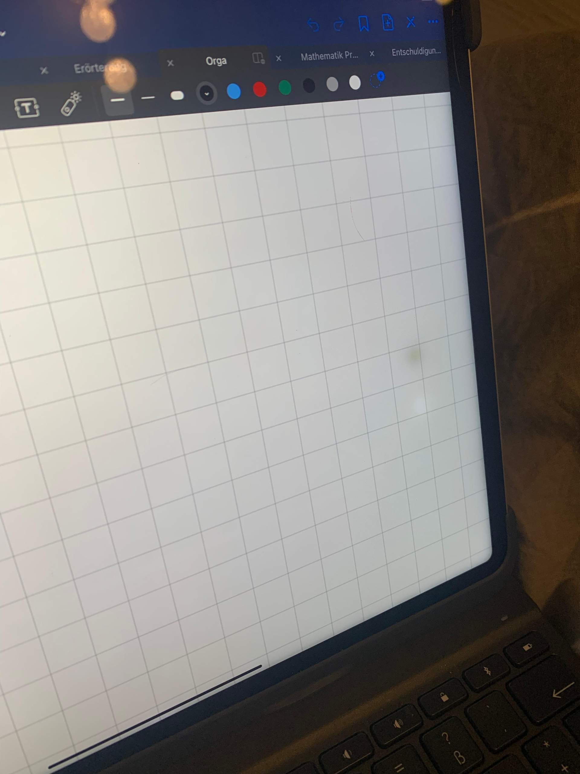 Komischer Punkt auf iPad? (Apple, Reparatur, Display)