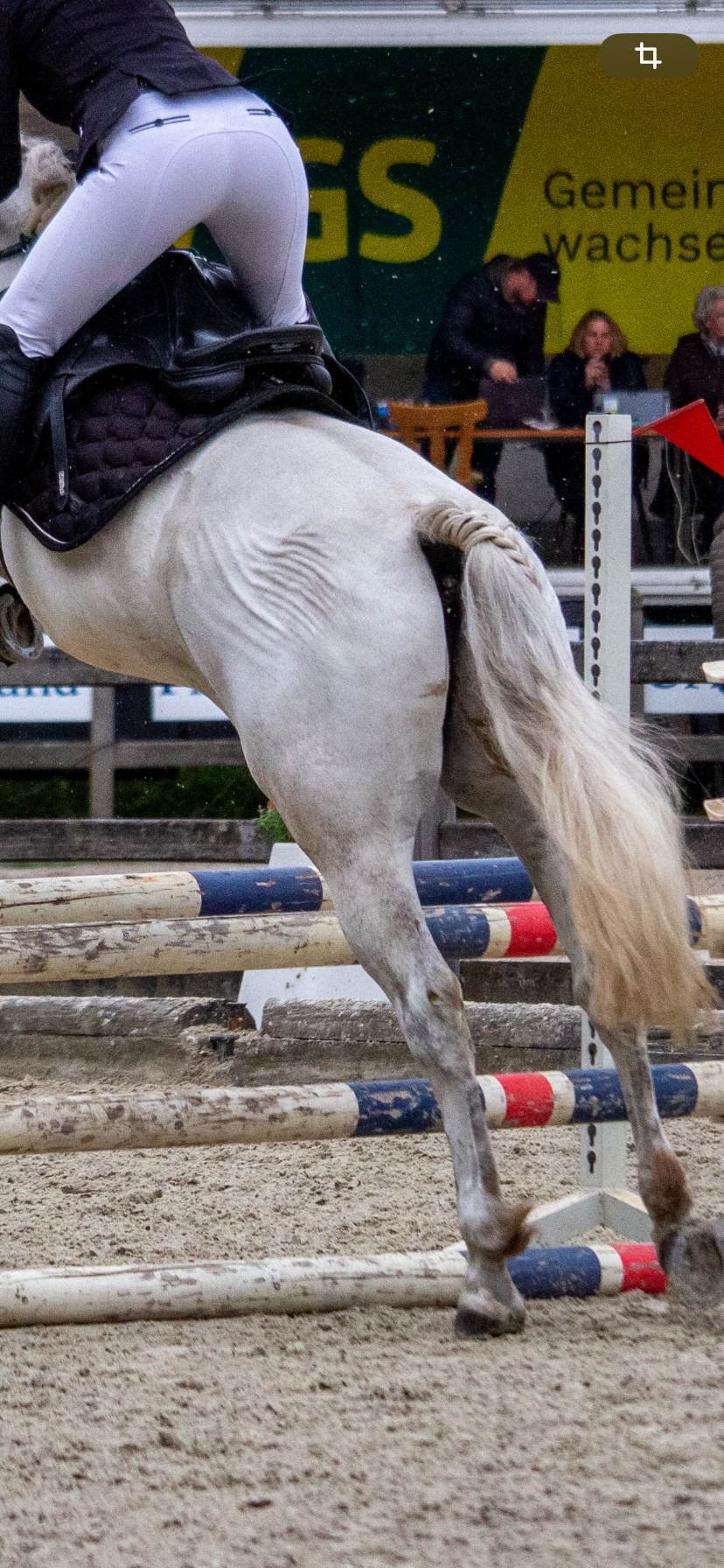 Kruppe Pferd Springen? (Reiten, Springreiten)