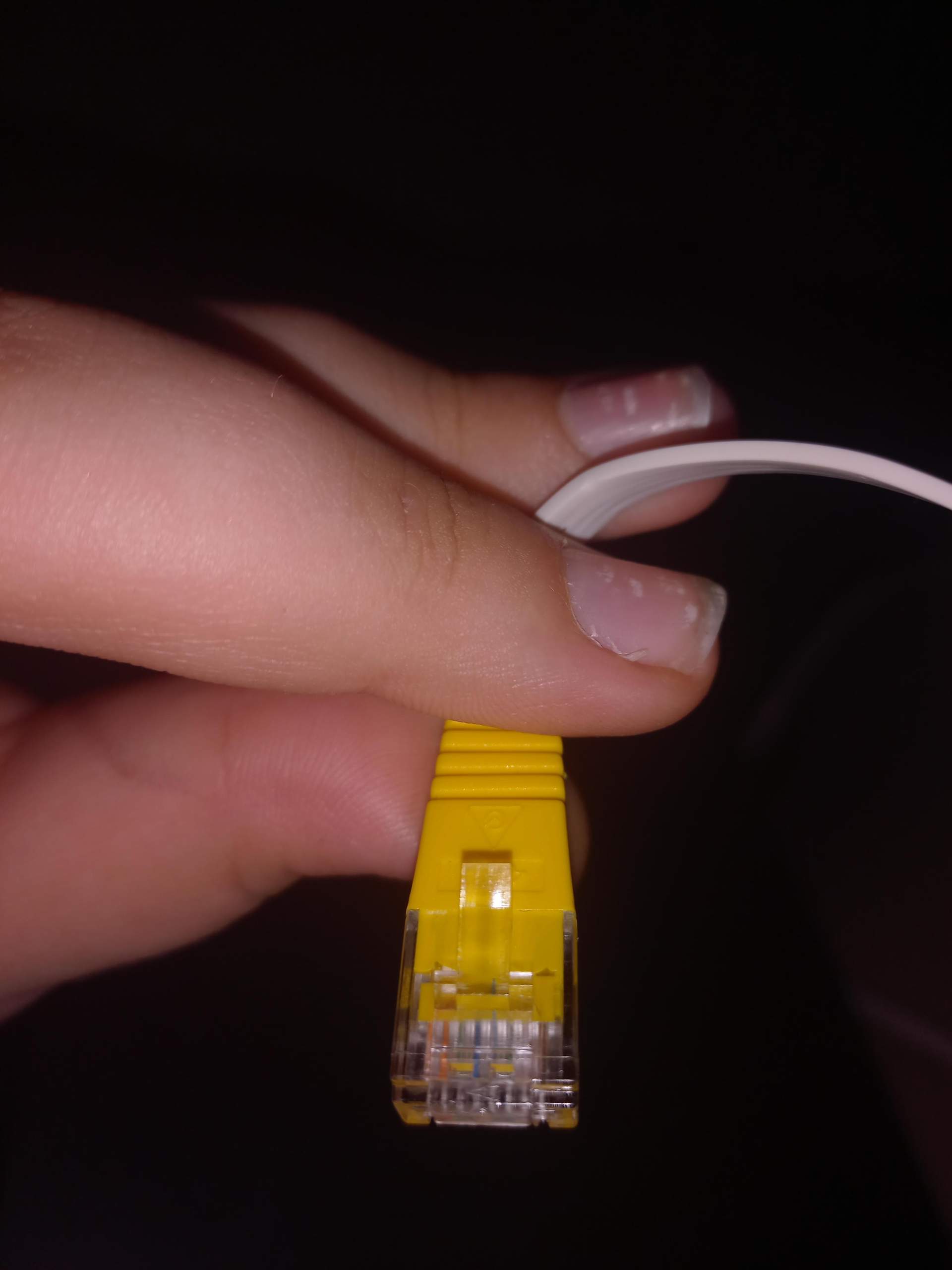 Lan Kabel Laptop? (Internet, LAN-Kabel)