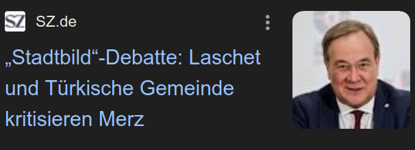 Laschet stellt sich gegen Merz: Kann Laschet damit punkten? (Politik ...