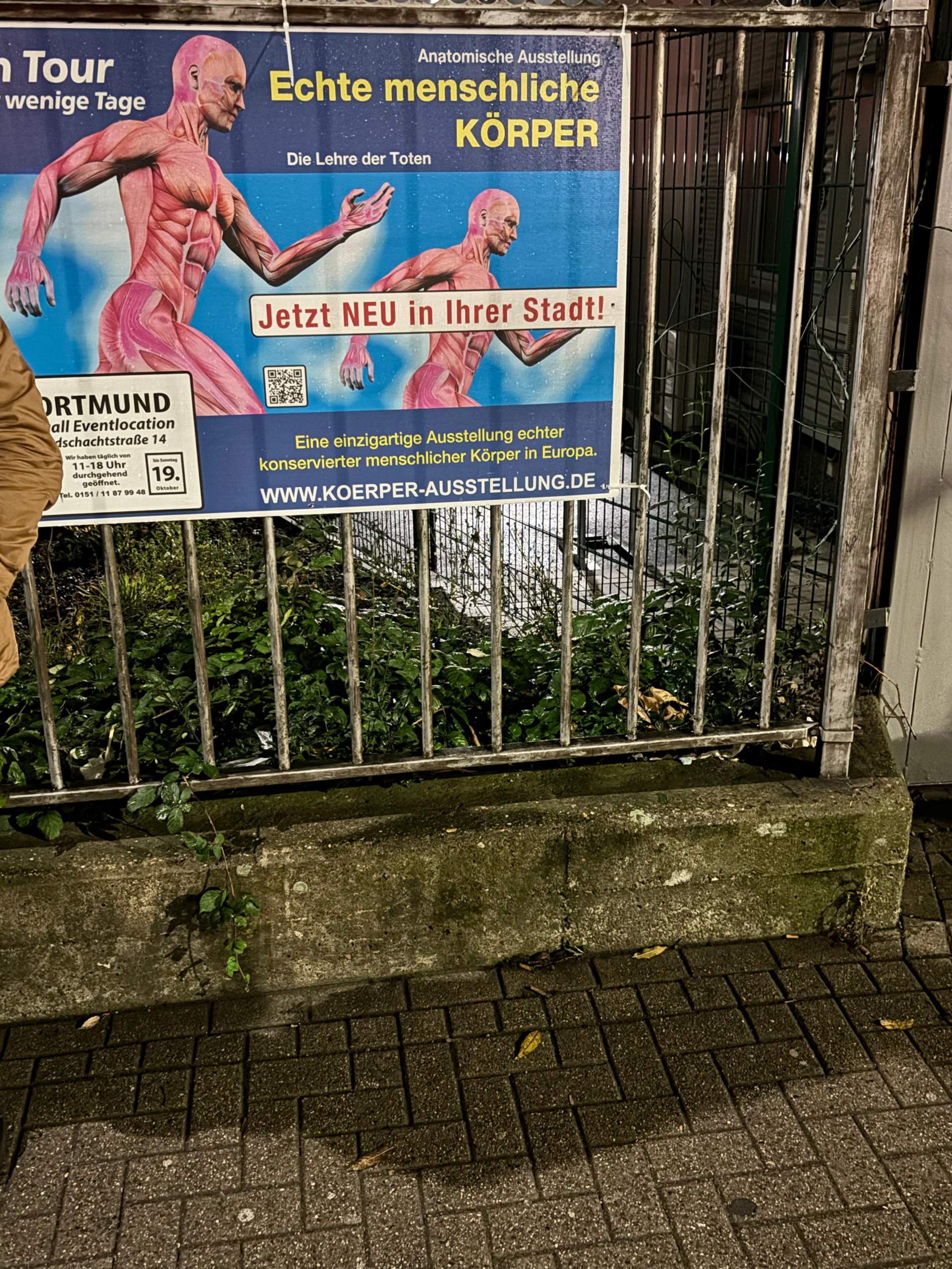 Leichen Ausstellung wie krank ist Deutschland? (Menschen, Angst, Fernsehen)