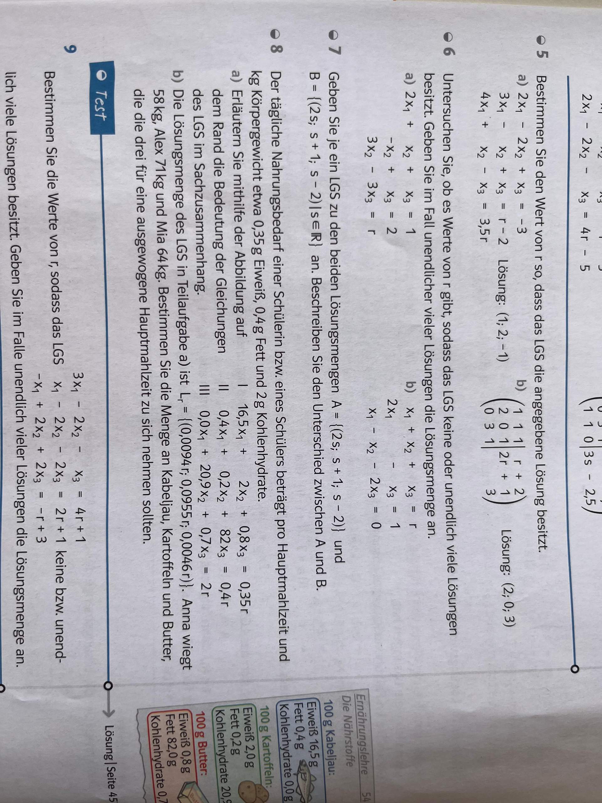 Lineare Gleichungssysteme mit Parametern? (Gleichungen, Mathematiker)