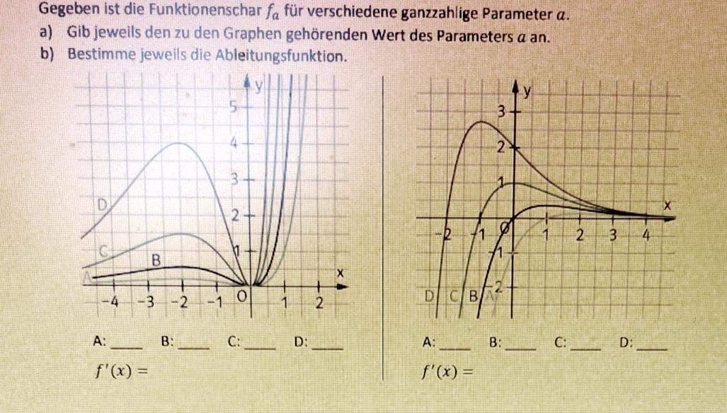 Mathematik: Funktionsschar, e-Funktion, exponentielle Funktion ...