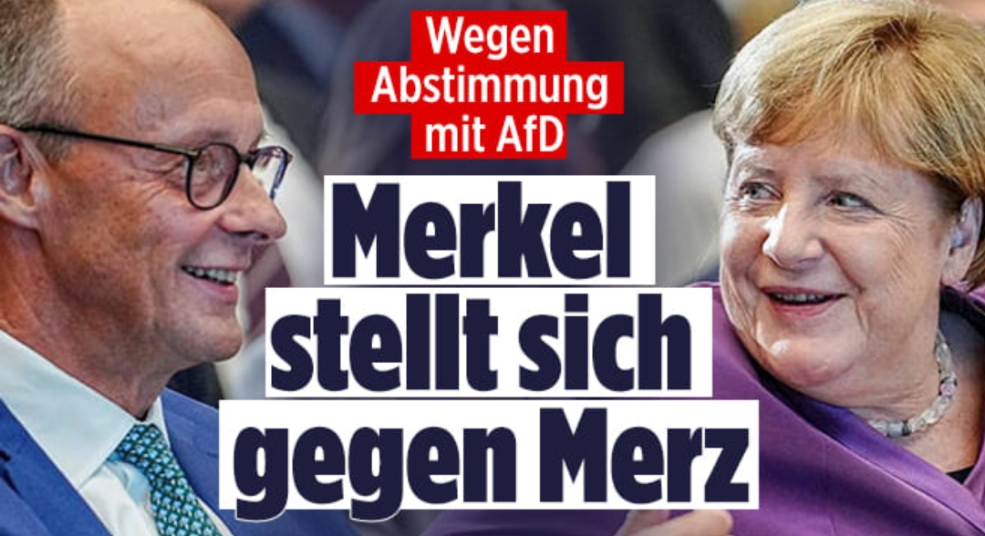 Merkel ist tierisch sauer auf Merz. Seid ihr auf Merkels Seite ...