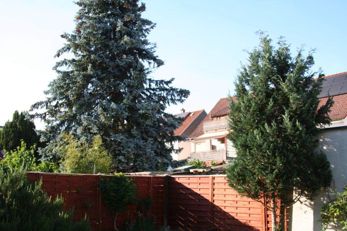 Merkt ihr den Unterschied zwischen 8MP, 10MP, 16MP, 24MP und 40MP ...