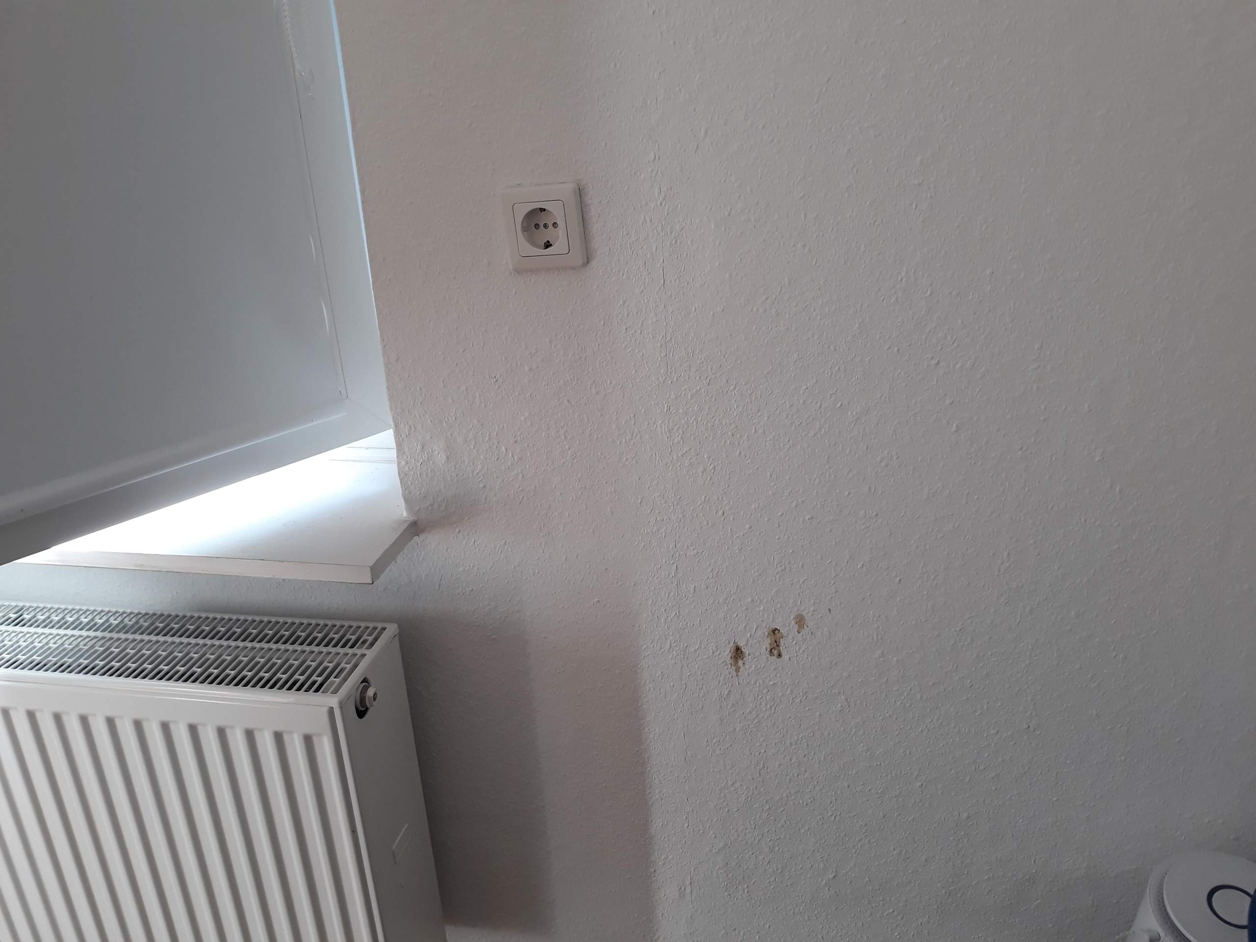 Kleine Braune Punkte An Der Wand