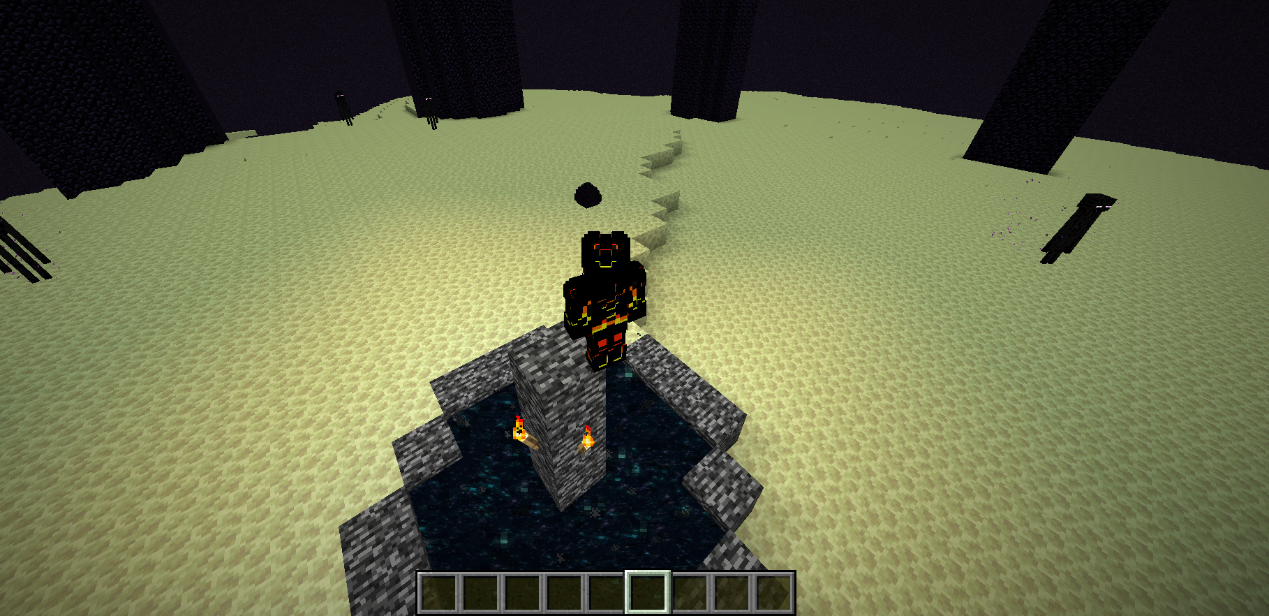 Minecraft End-Bug? (Minecraft Java Edition)