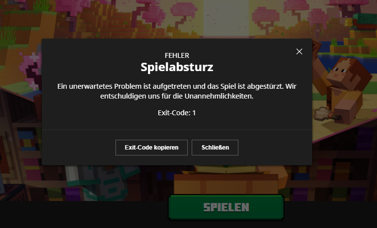 Minecraft Java Fehler? (Minecraft Java Edition)