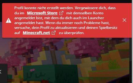 Minecraft Java kann nicht gestarten werden, wegen Benutzername? (PC, Minecraft Java Edition, Mojang)