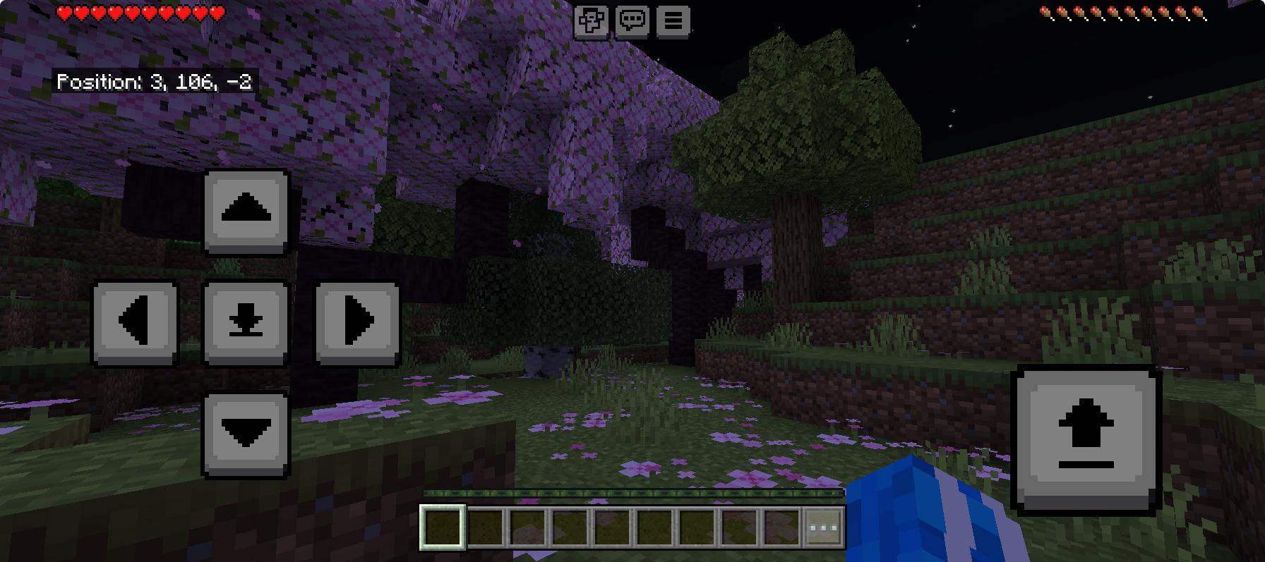 Minecraft Steuerung? (Minecraft Bedrock Edition)