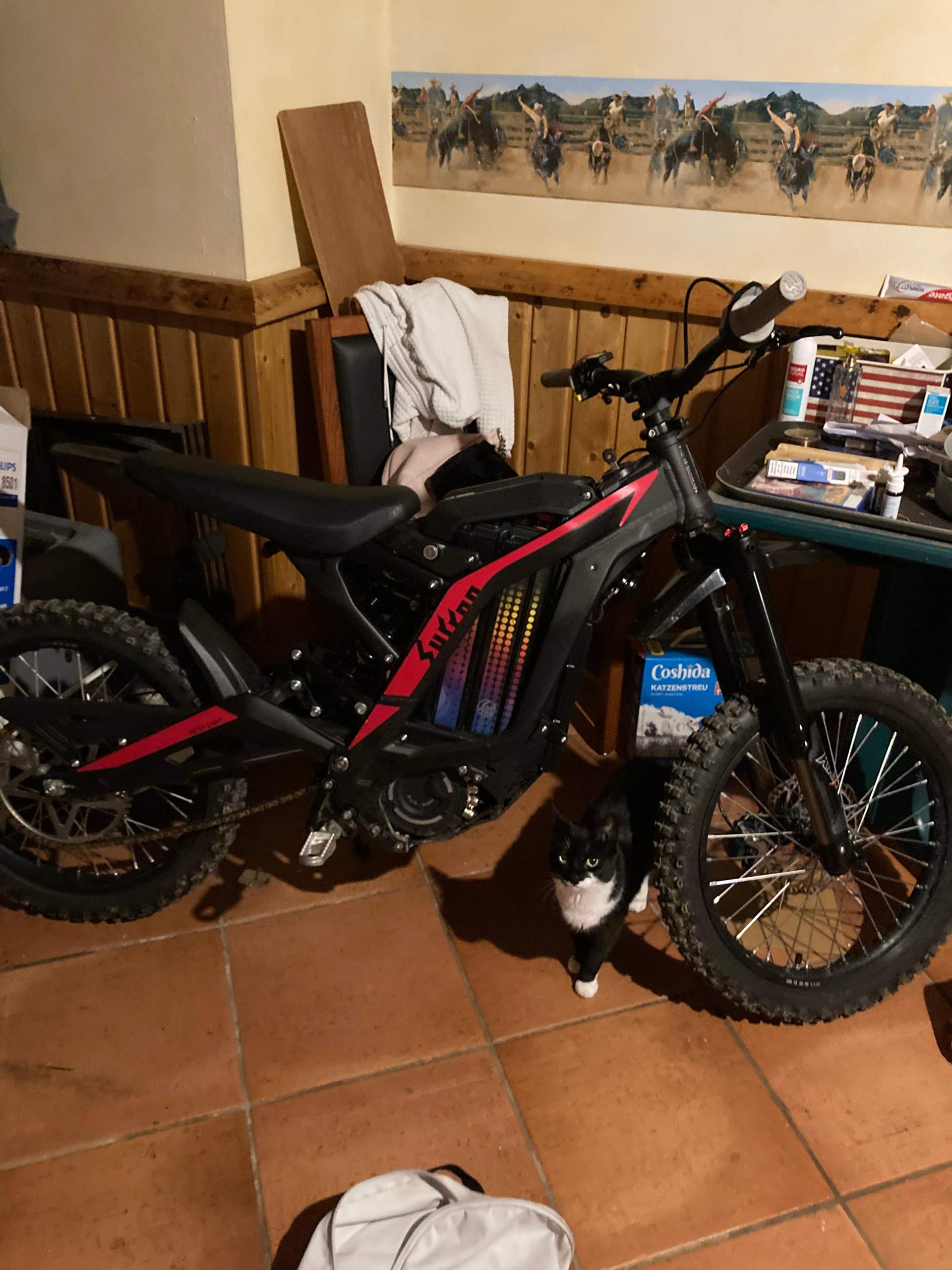 Mit Sur ron in IC und ICE? (Fahrrad, Deutsche Bahn, surron)