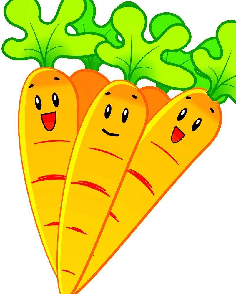Möhre oder Karotte? (gesunde Ernährung, Gemüse, Karotten)