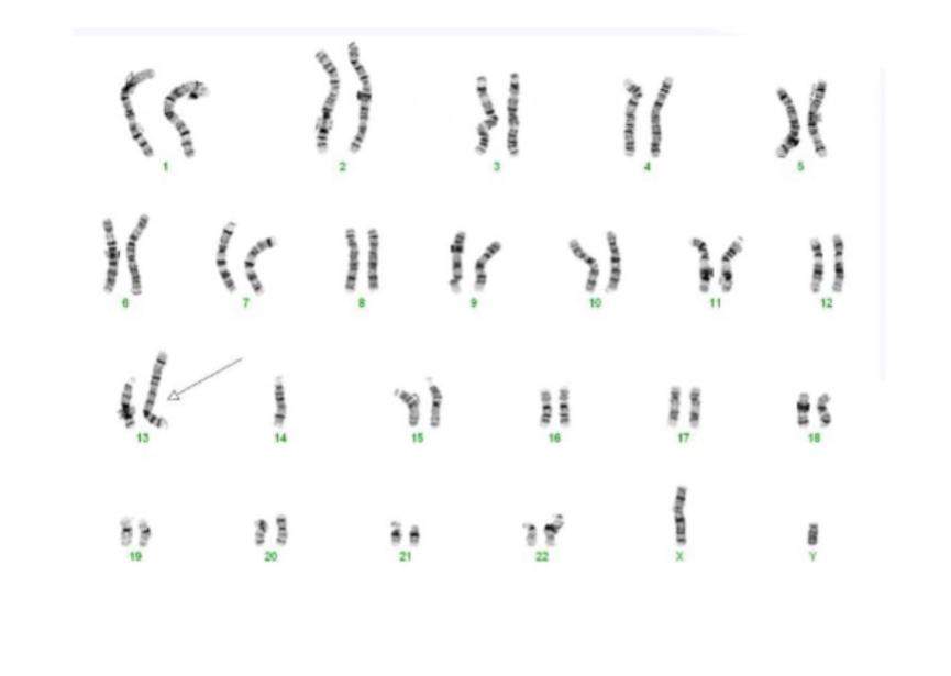 Mutation? (Bio, Biologieunterricht)