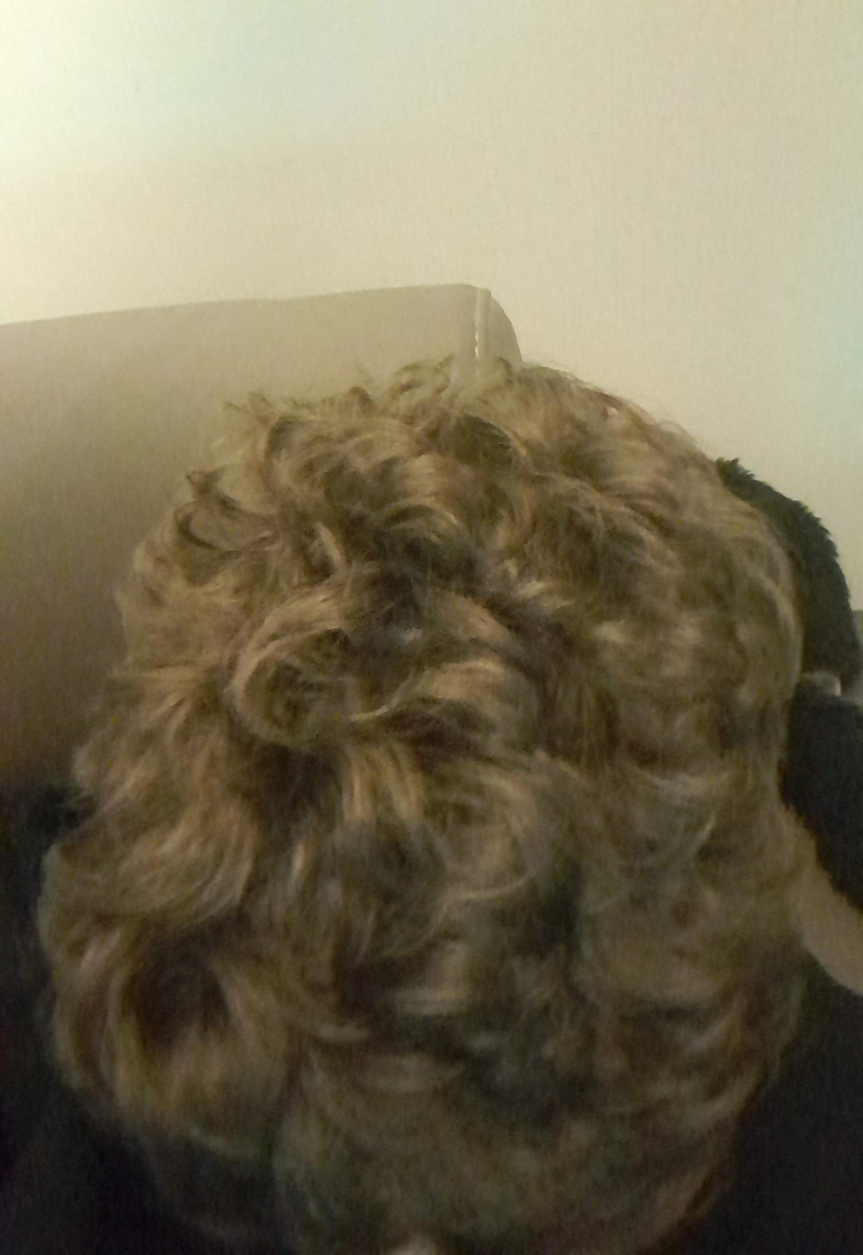 Nächster Schritt bei Beziehung mit Crush? (Mädchen, Freundin, Gefühle)