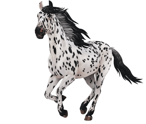 Namensideen für Mustang in sso? (Star Stable, Stute, Jungpferd)