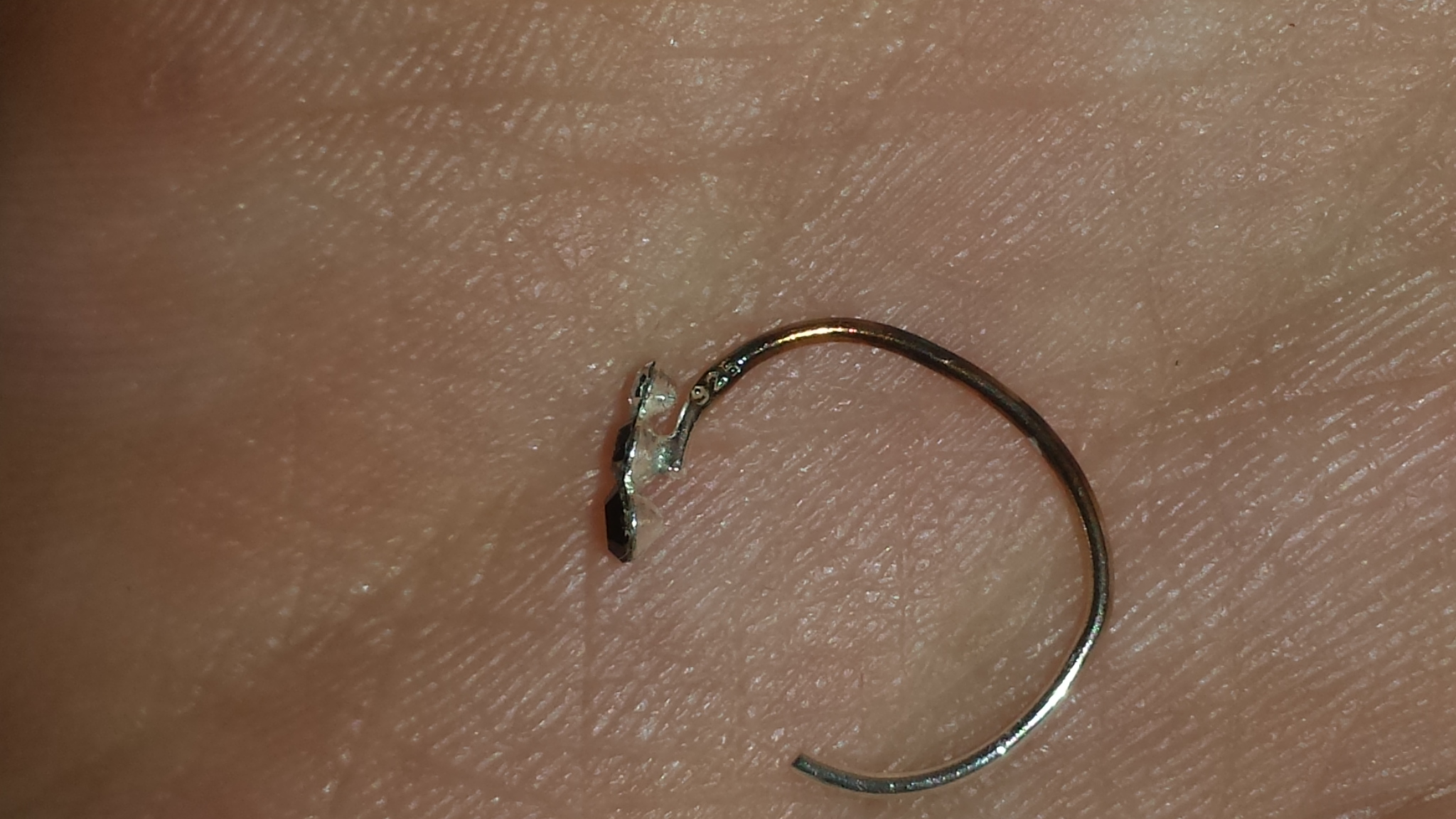 Nasenpiercing verfärbung verkriegen? (Piercing, verfärbt)