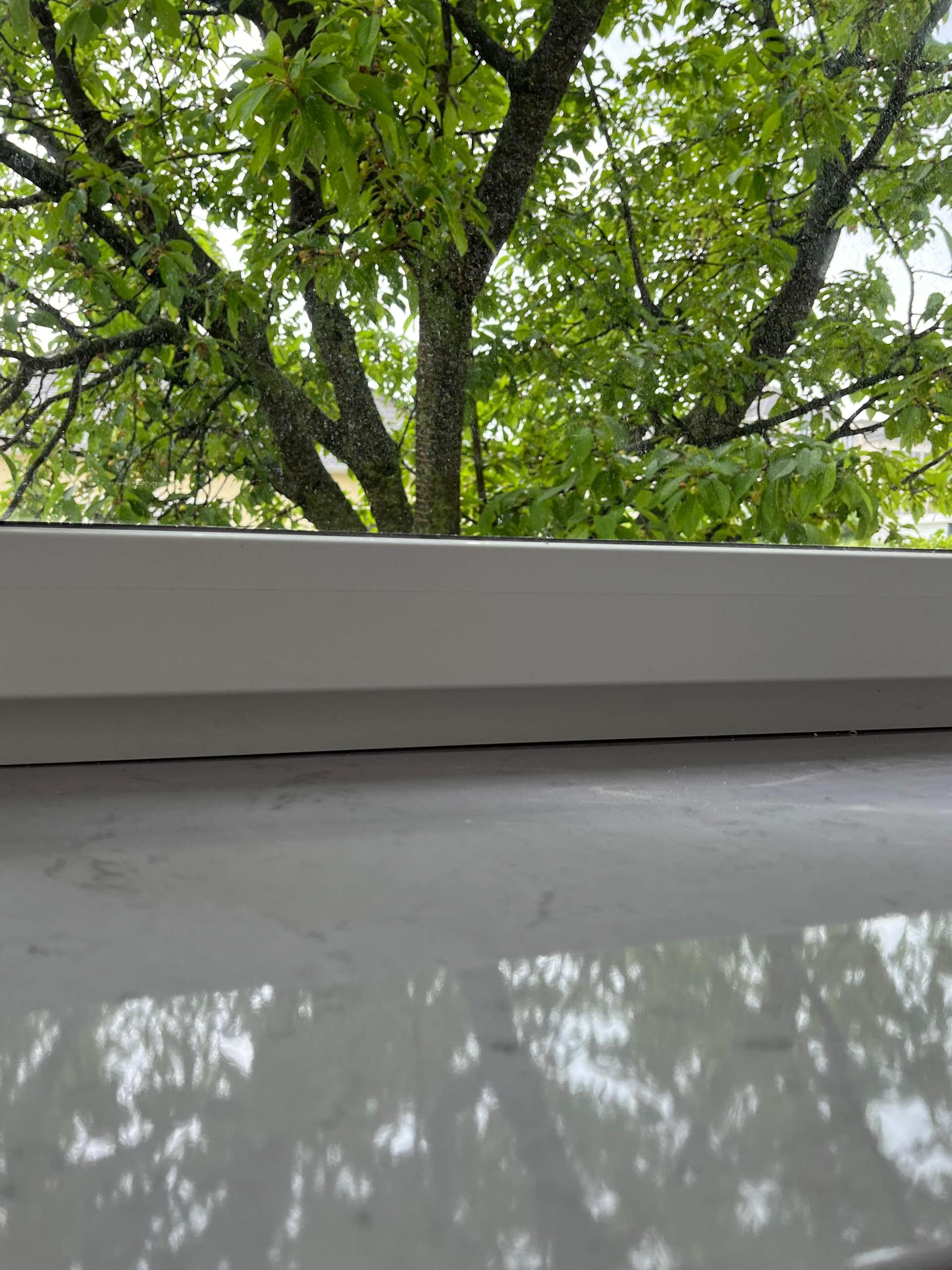 Neue Fenster eingebaut – ist das richtig gemacht? (Wohnung, Haus ...