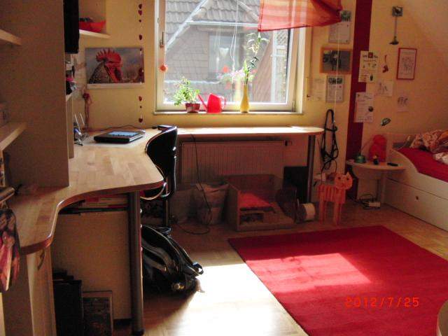 Neue Gestaltungsideen für mein Zimmer!? (Freizeit, Ideen, Kreativität)