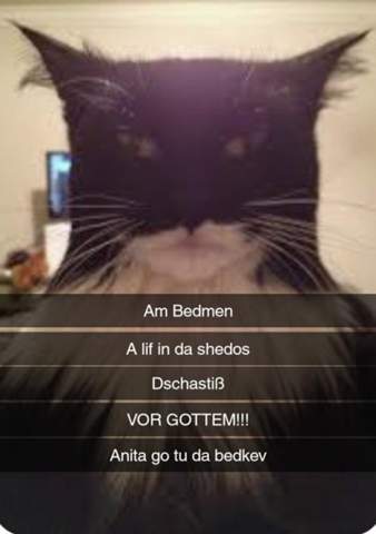Nightly dose of bedmen (Meme)