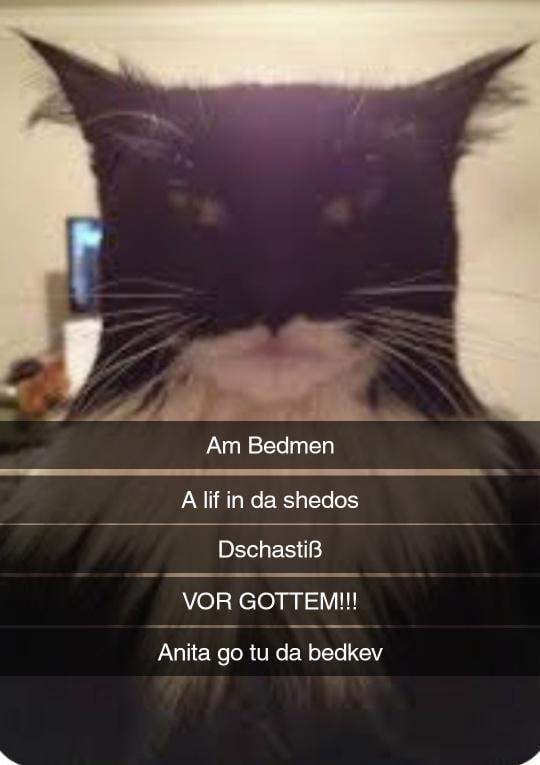 Nightly dose of bedmen (Meme)