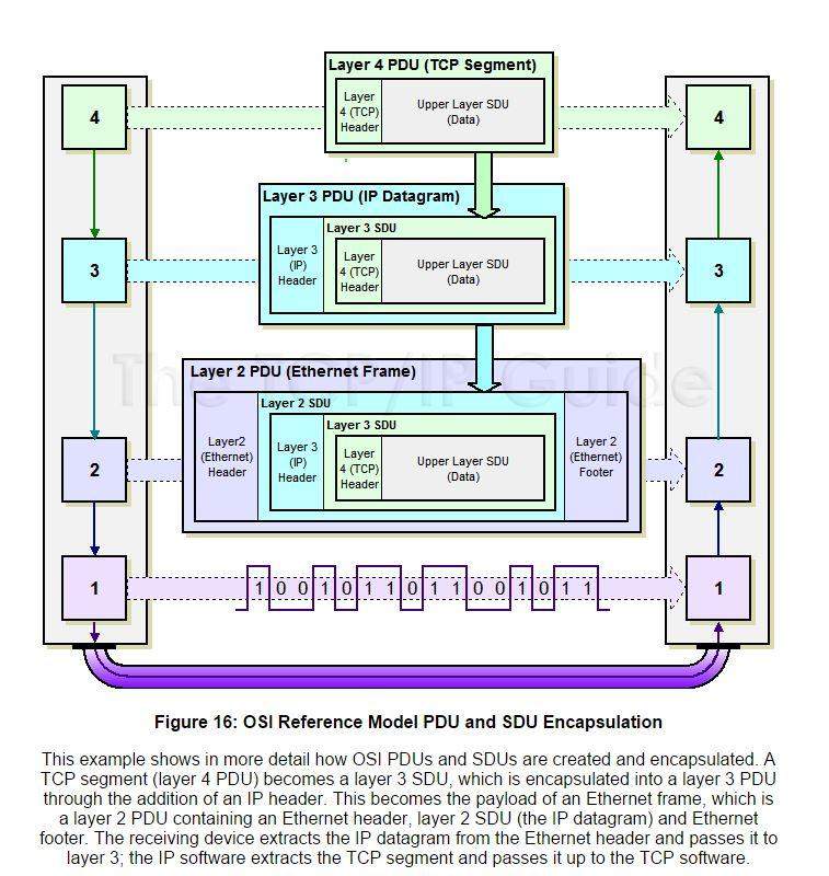 OSI - Wie genau sieht die horizontale Kommunikation zwischen Peer ...