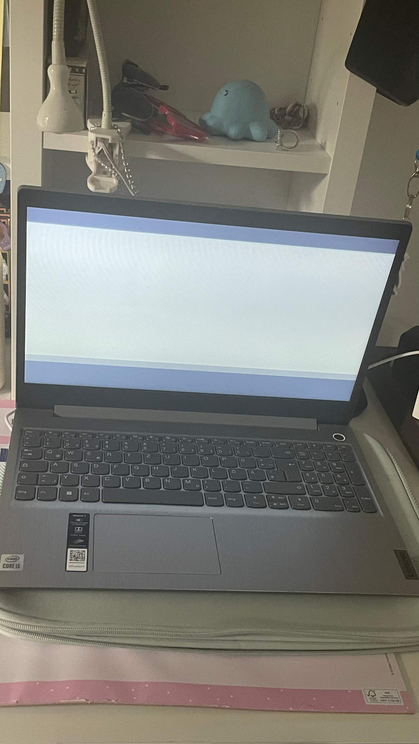 Bildschirm von Laptop flackert? (PC, PC-Problem)