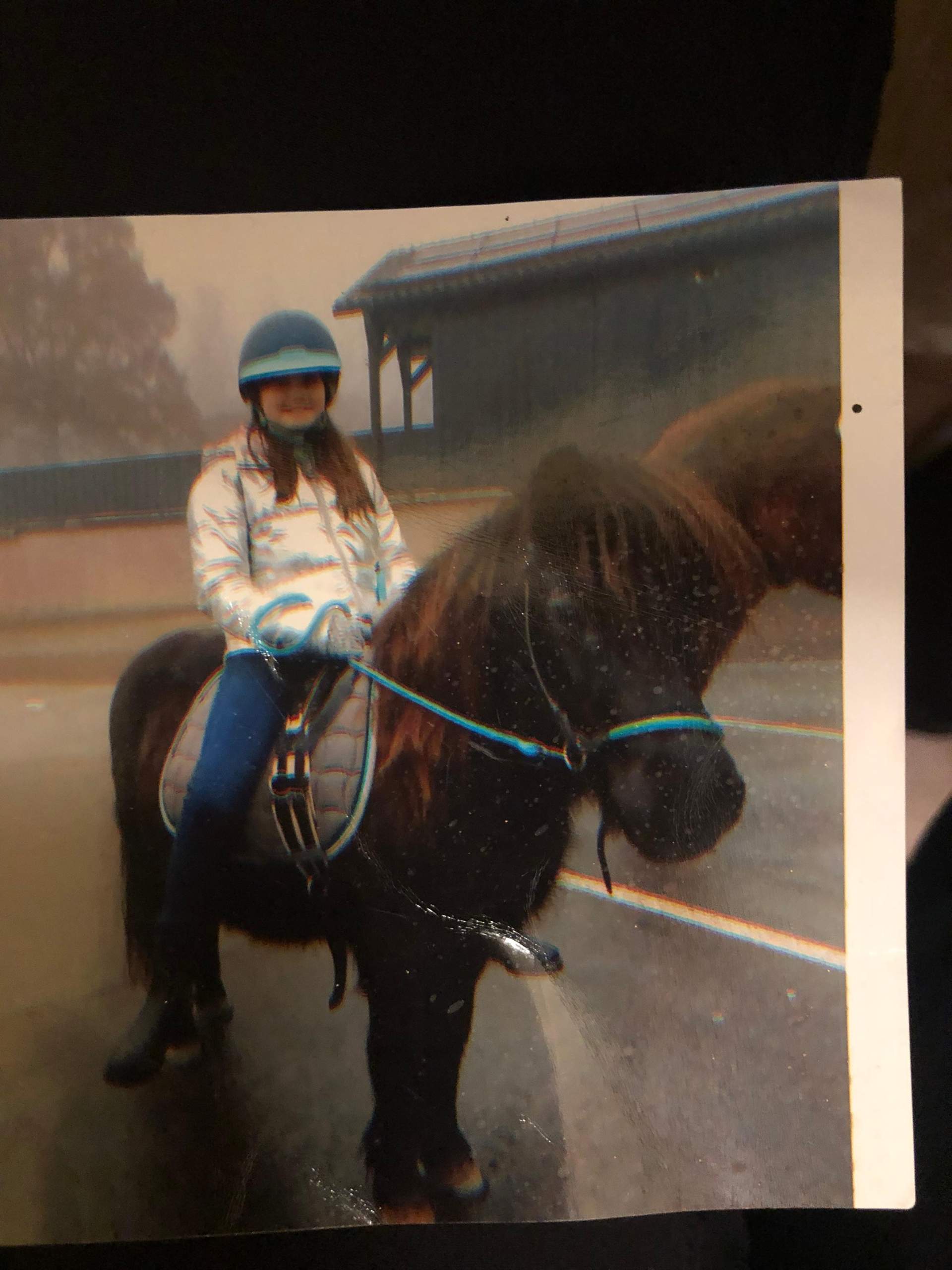 Pferd bockt nur noch? (Reiten, Pony, Sattel)