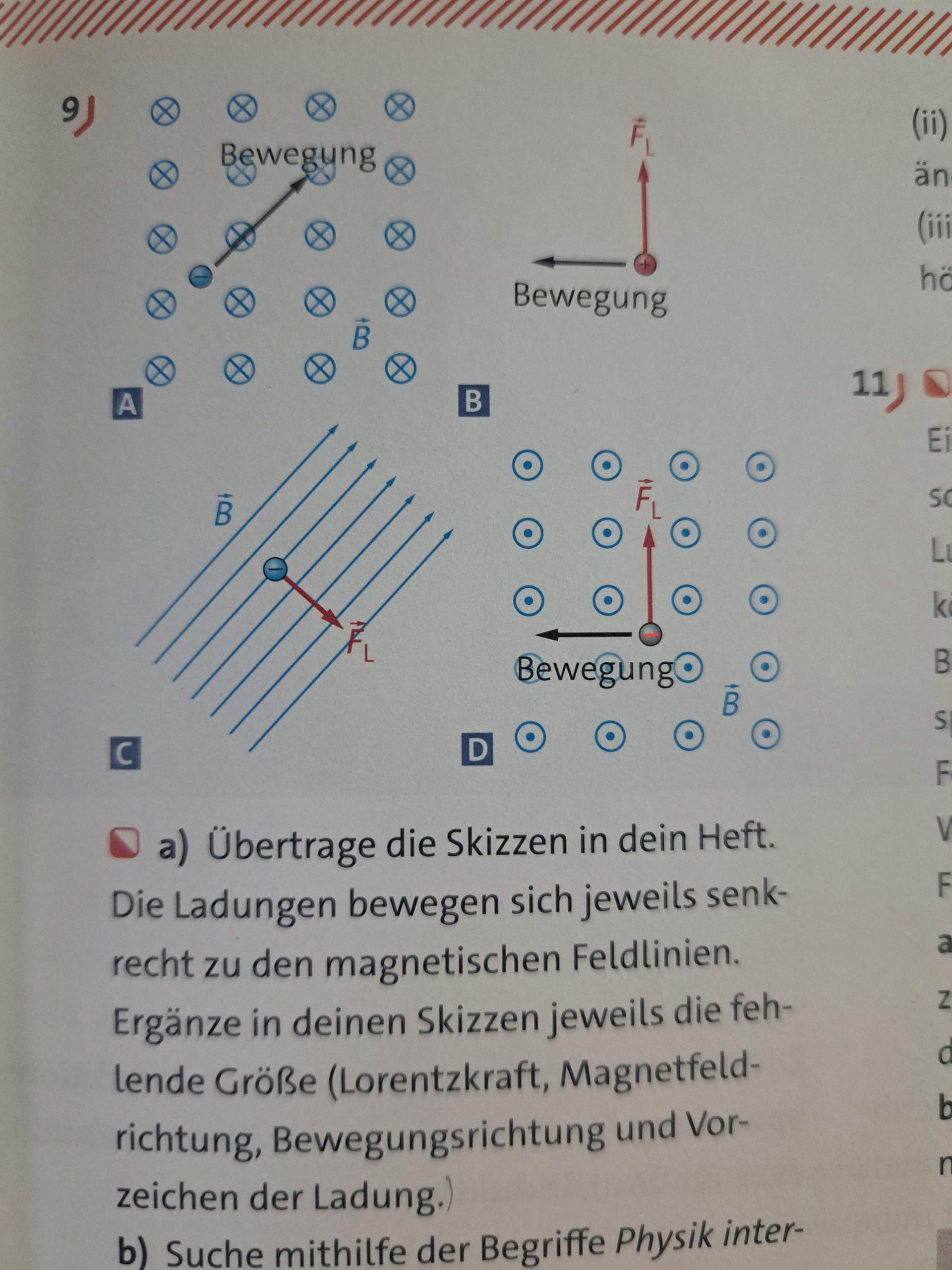 Physik 10.Klasse Gymnasium? (Lorentzkraft)