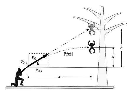 Physik-Aufgabe: Kinematik: Der fallende Affe und der Pfeil ...