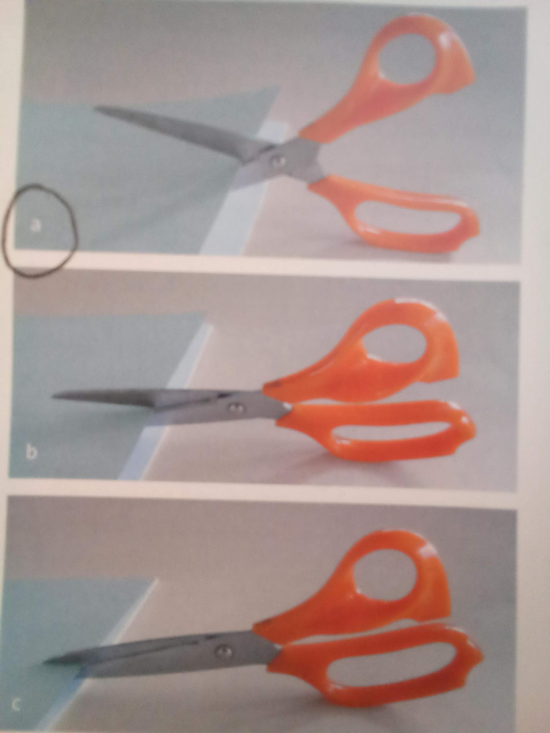 Physik. Wo hat die Schere am meisten Kraft? (Schulaufgabe)