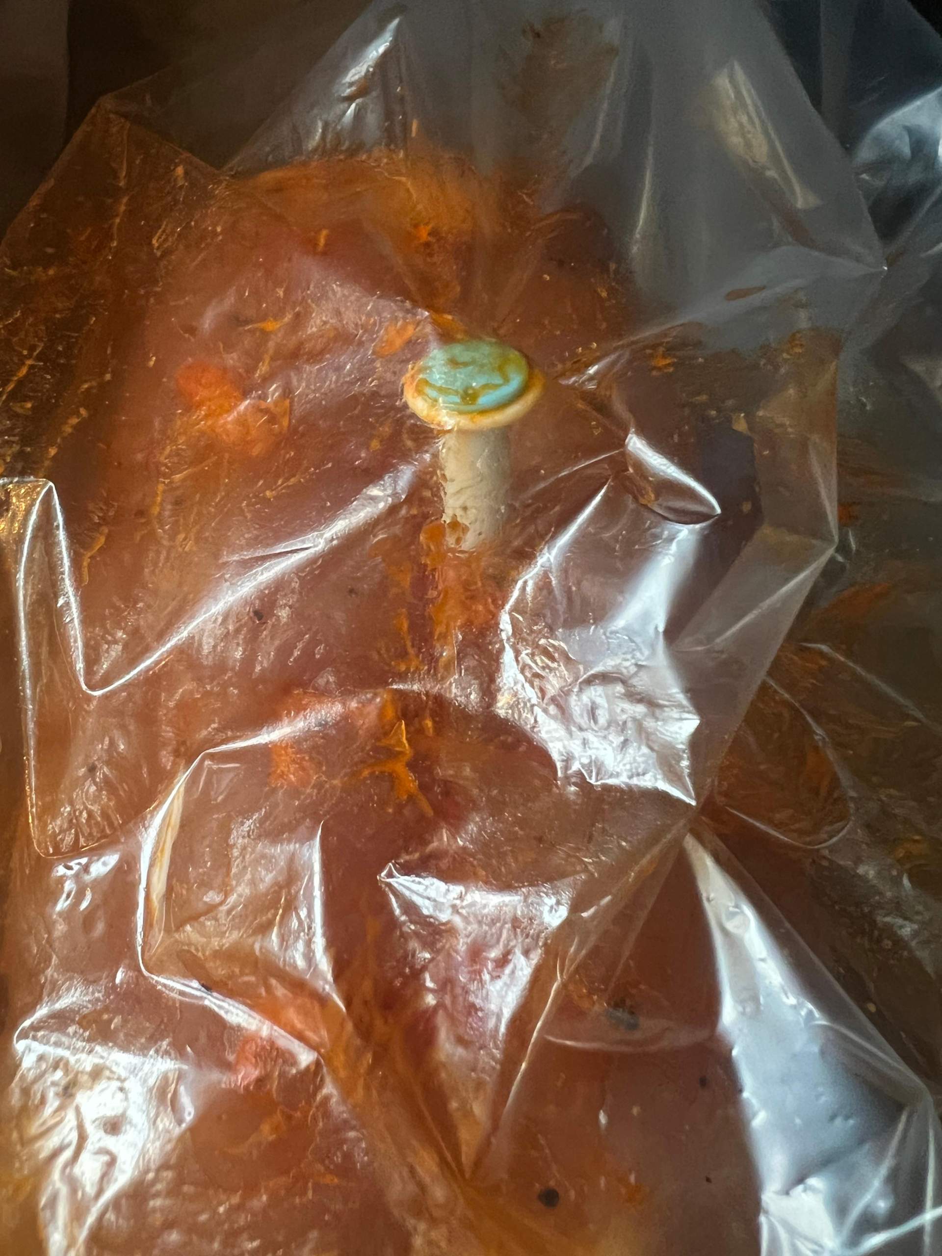 Piekser im Braten? (Fleisch)