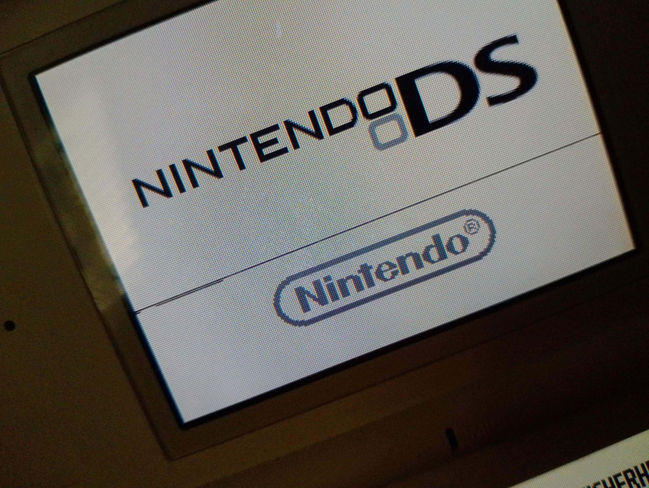 Pixelfehler beim Nintendo DS beheben?