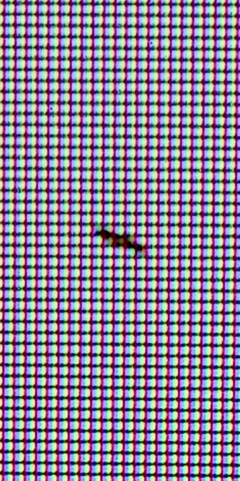 Pixelfehler oder Dreck von innen? (Computer, Technik, Technologie)