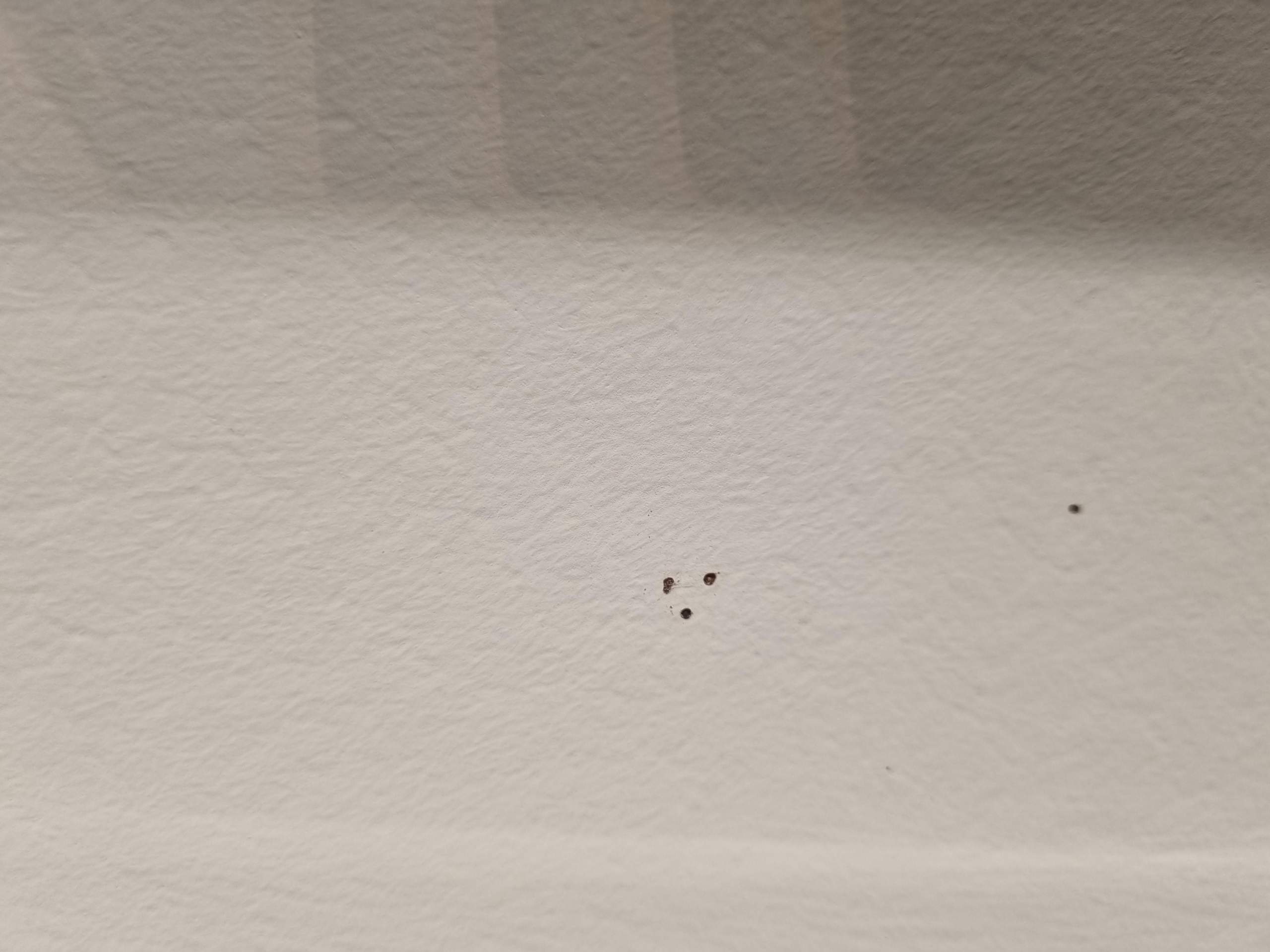 Plötzlich seltsame winzig kleine schwarze Löcher in Wand- und ...