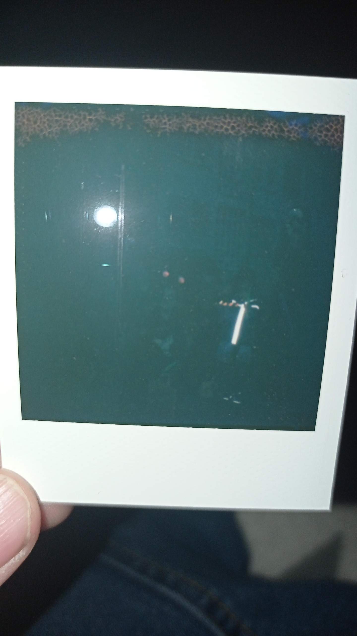 Polaroid Bild schwarz? (Bilder, Kamera, Foto)